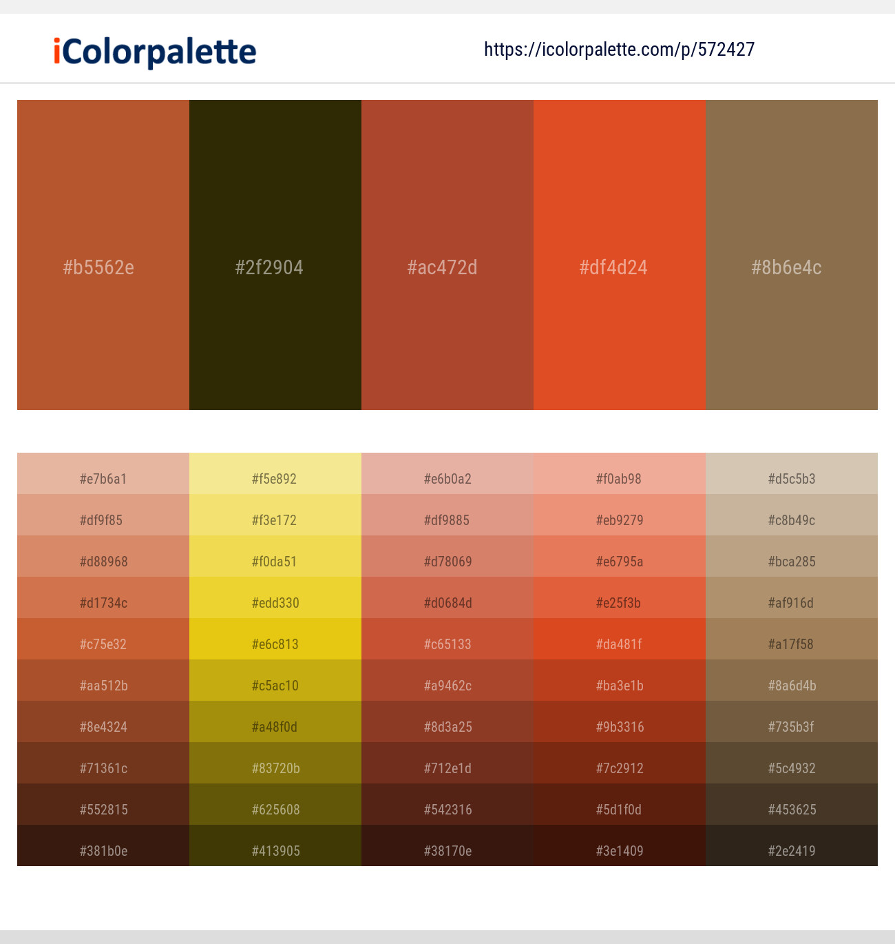 740+ Latest Color Schemes with Tuscany Color tone combinations | 2025 ...