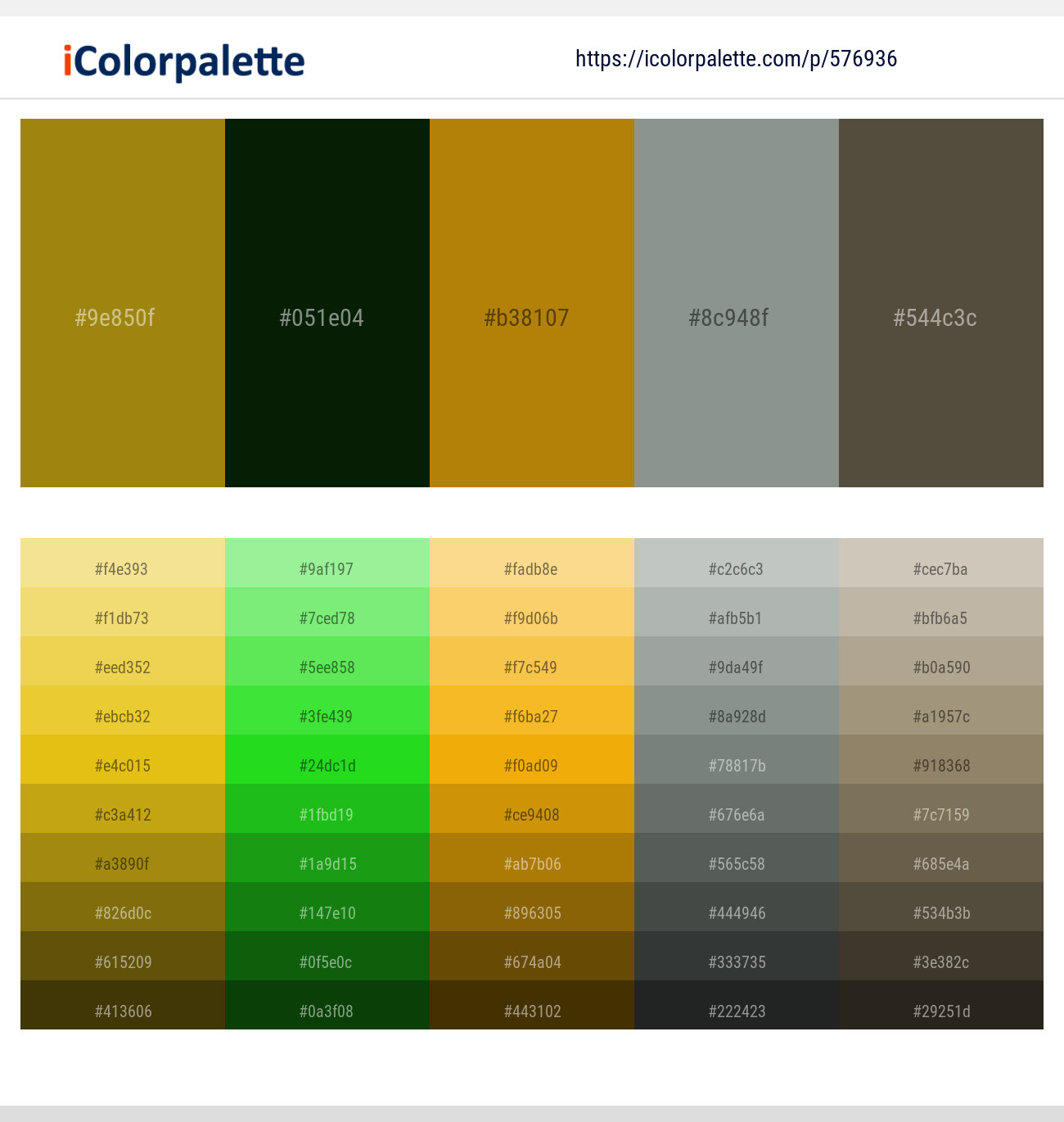 Buttered Rum – iColorpalette
