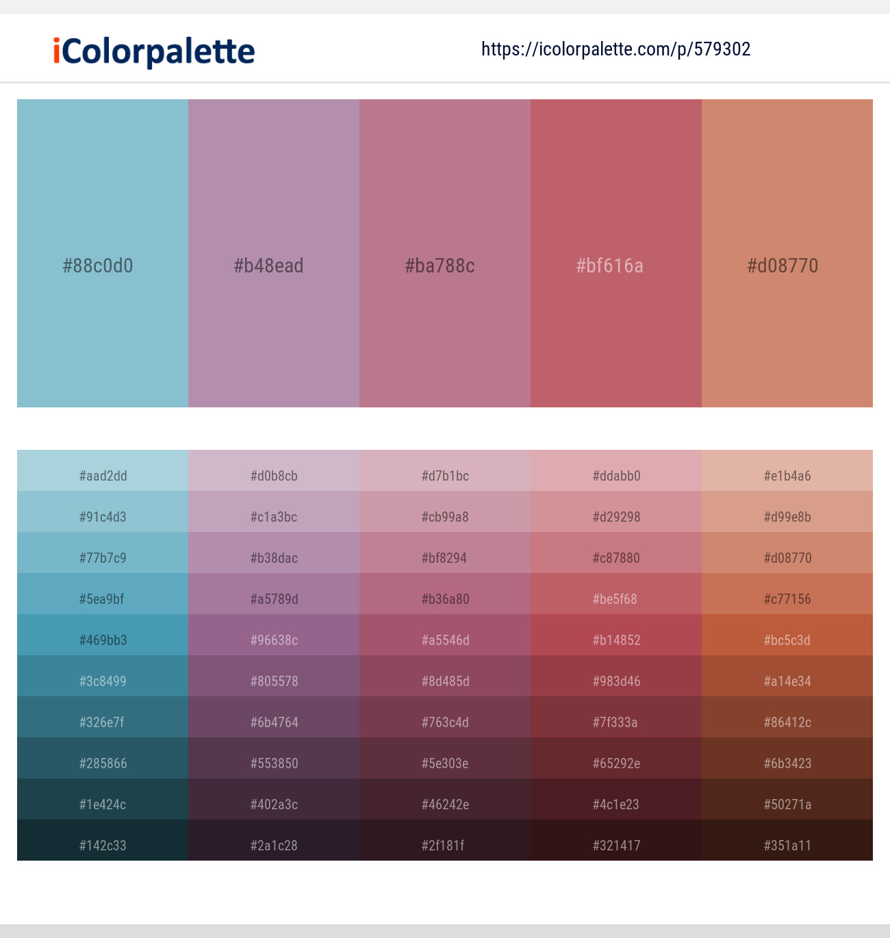 1310 Latest Color Schemes With Contessa Color Tone Combinations 2025