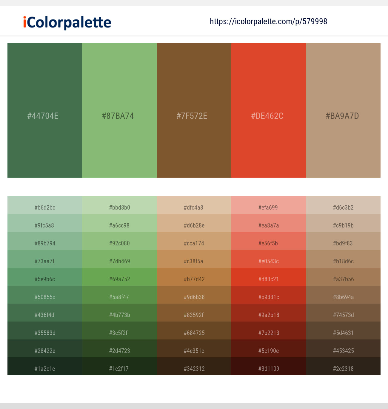 1030+ Latest Color Schemes with Nutmeg Color tone combinations | 2025 ...
