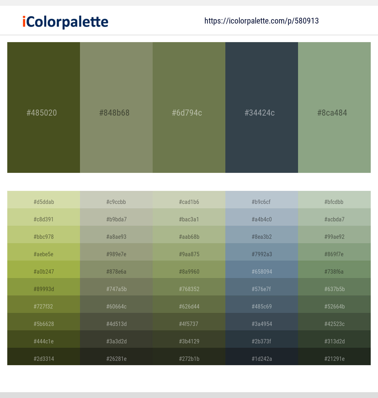 1590+ Latest Color Schemes with Avocado Color tone combinations | 2024 ...