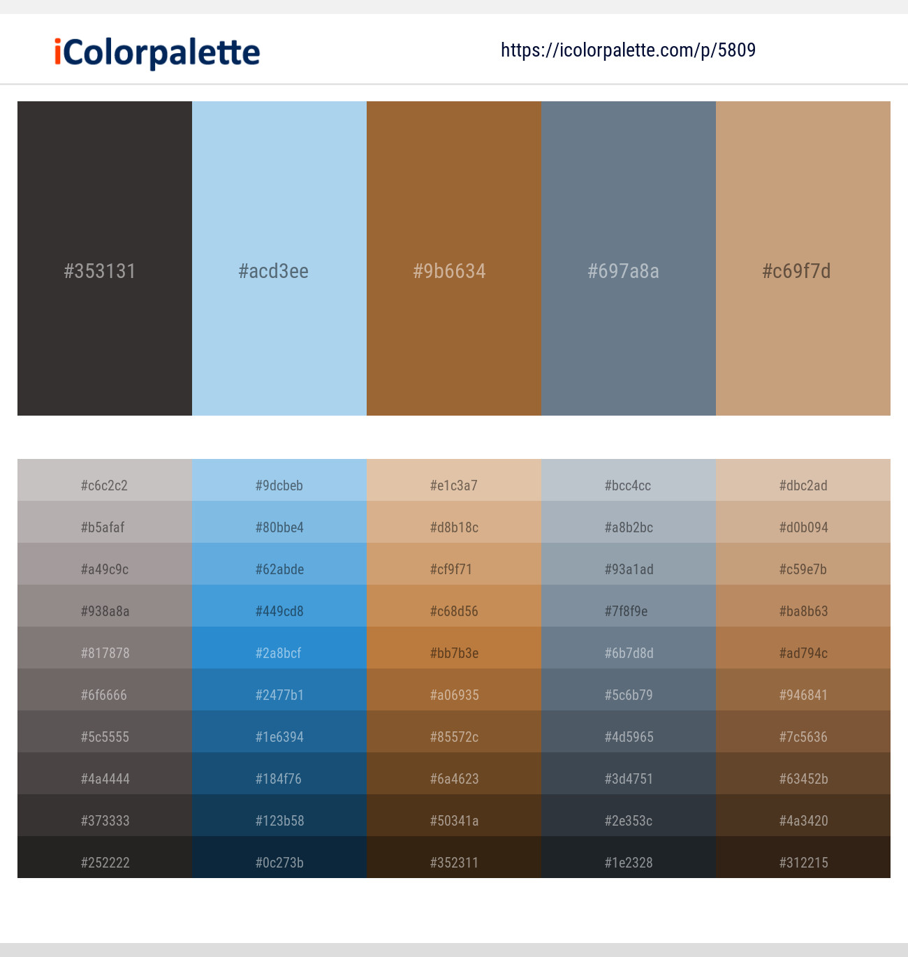 1 Latest Color Schemes with Blizzard Blue And Potters Clay Color tone ...