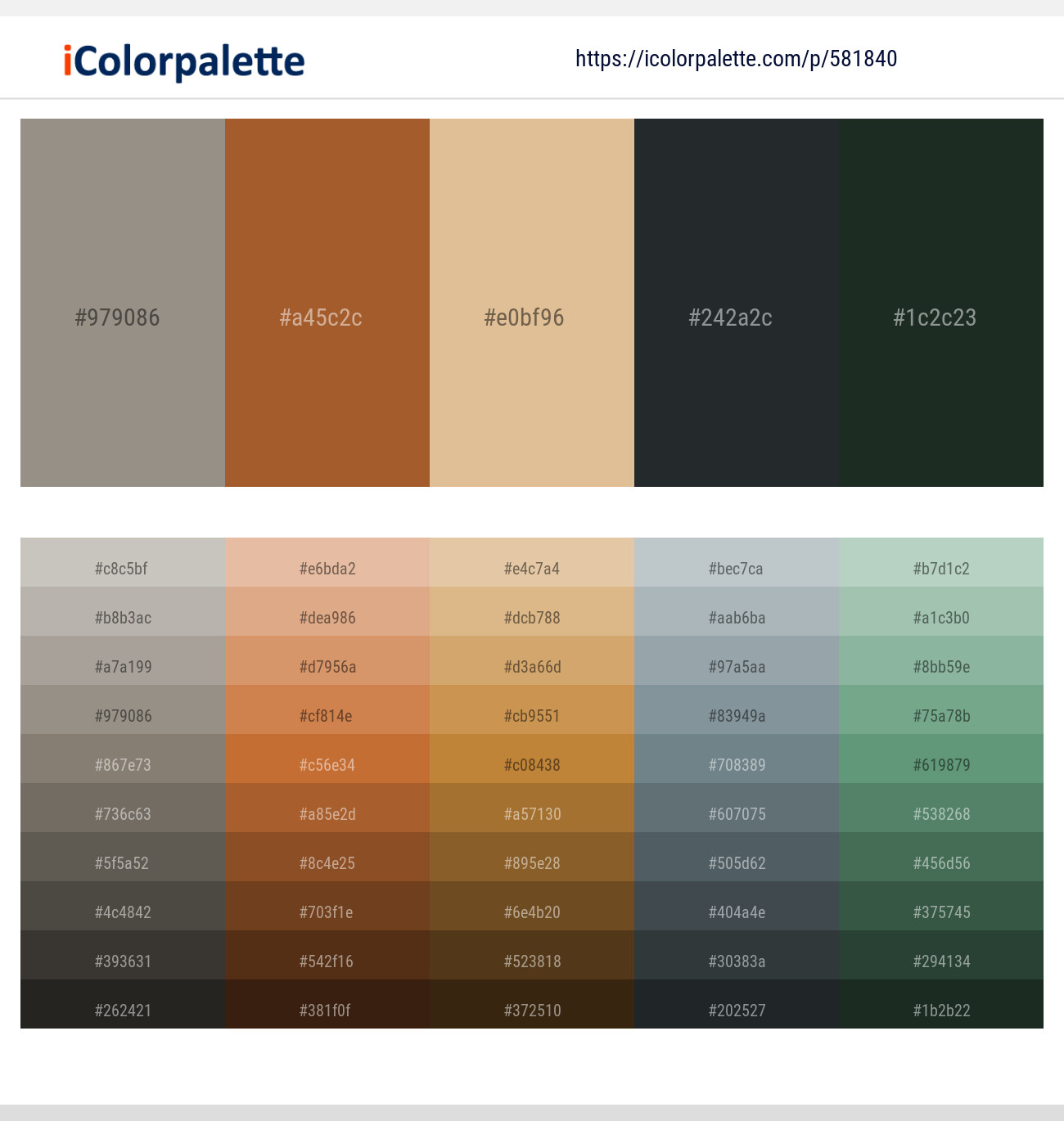 830+ Latest Color Schemes with Calico Color tone combinations | 2024 ...