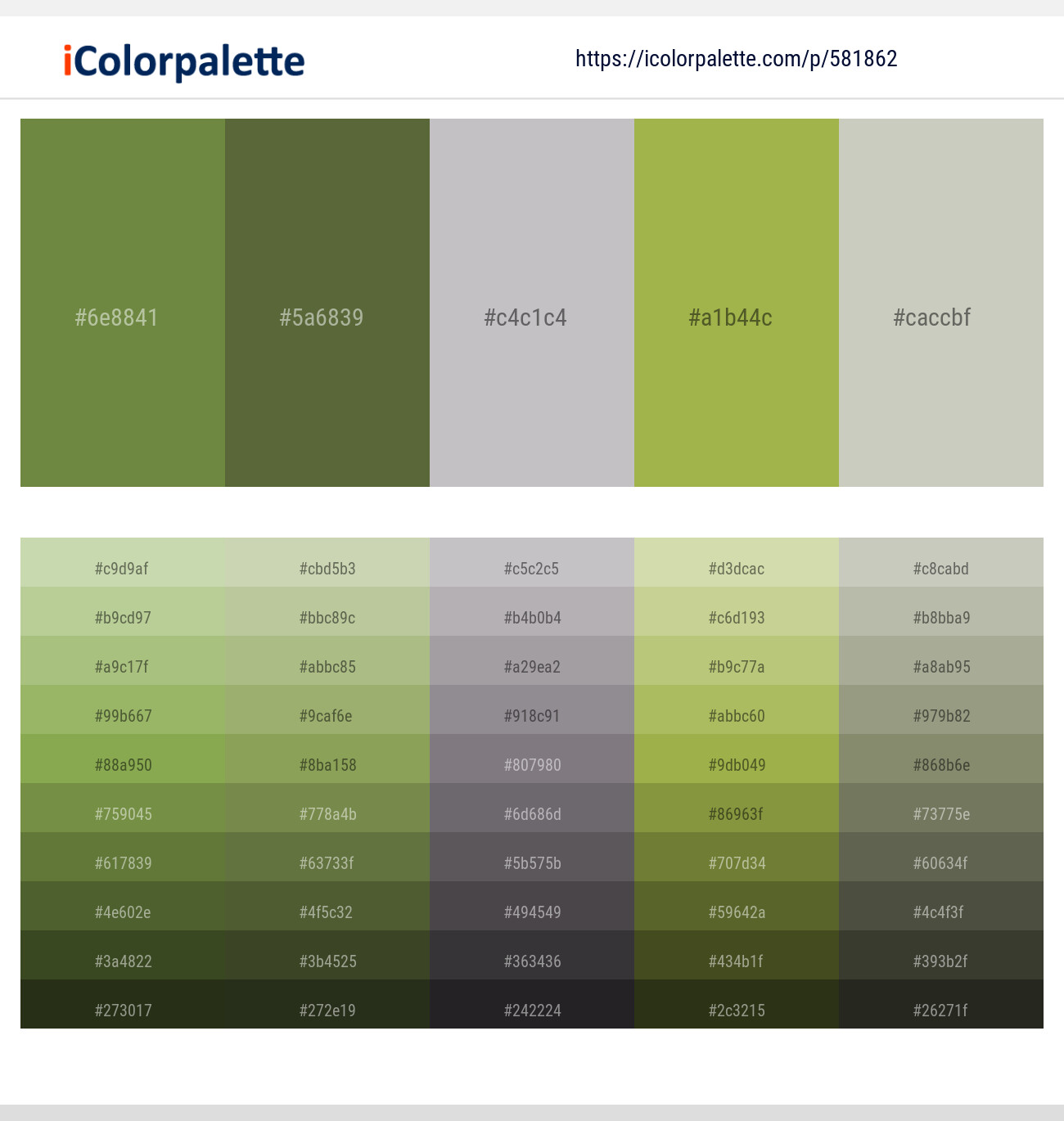 470+ Latest Color Schemes with Kangaroo Color tone combinations | 2024 ...