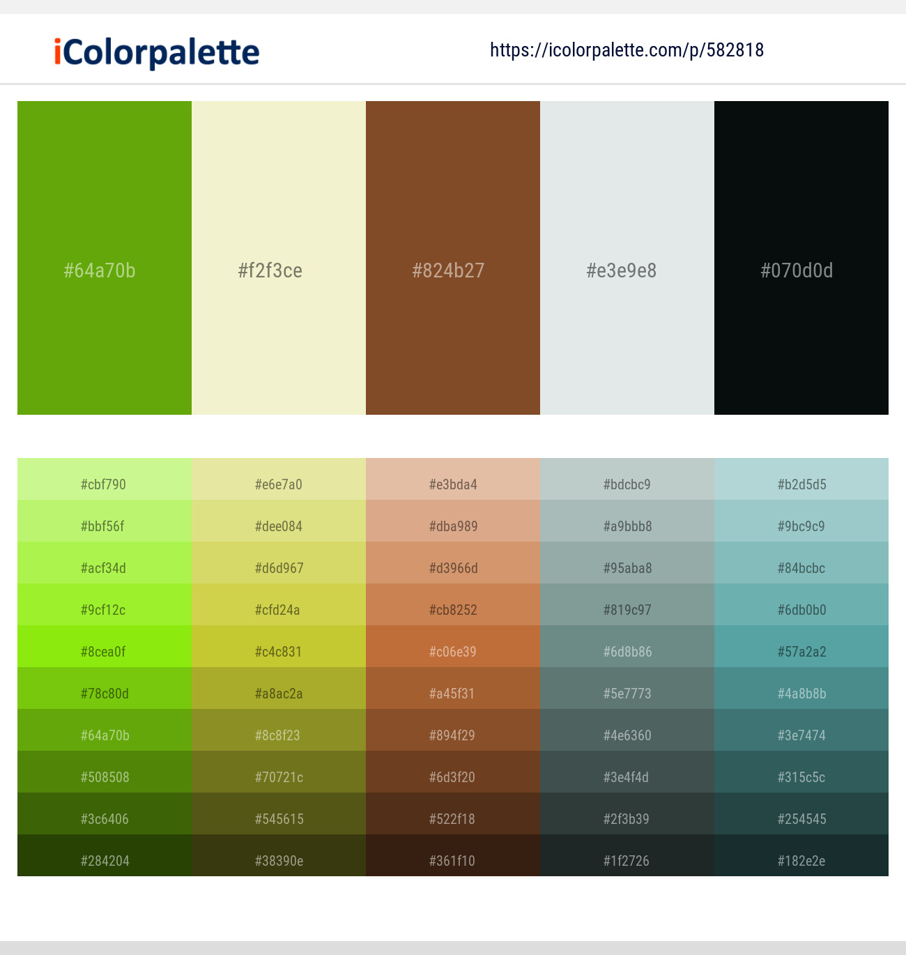 710+ Latest Color Schemes with Aztec Color tone combinations | 2024 ...