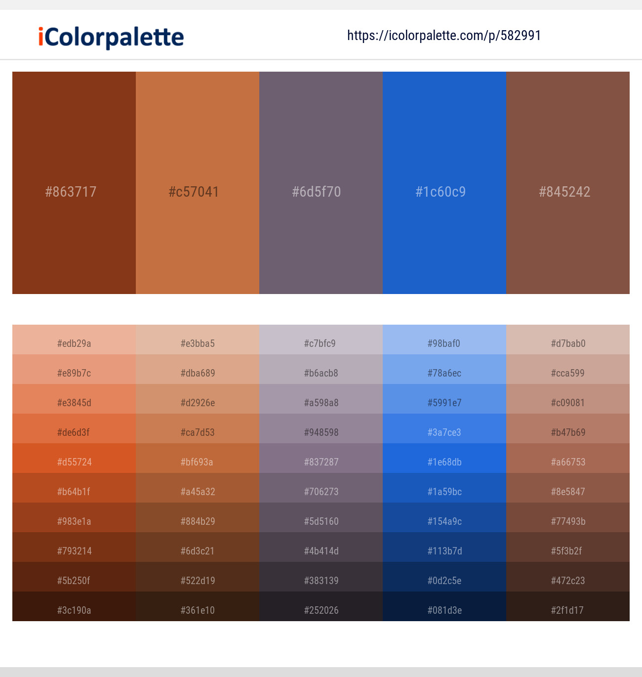 1710+ Latest Color Schemes with Copper Color tone combinations | 2024 ...