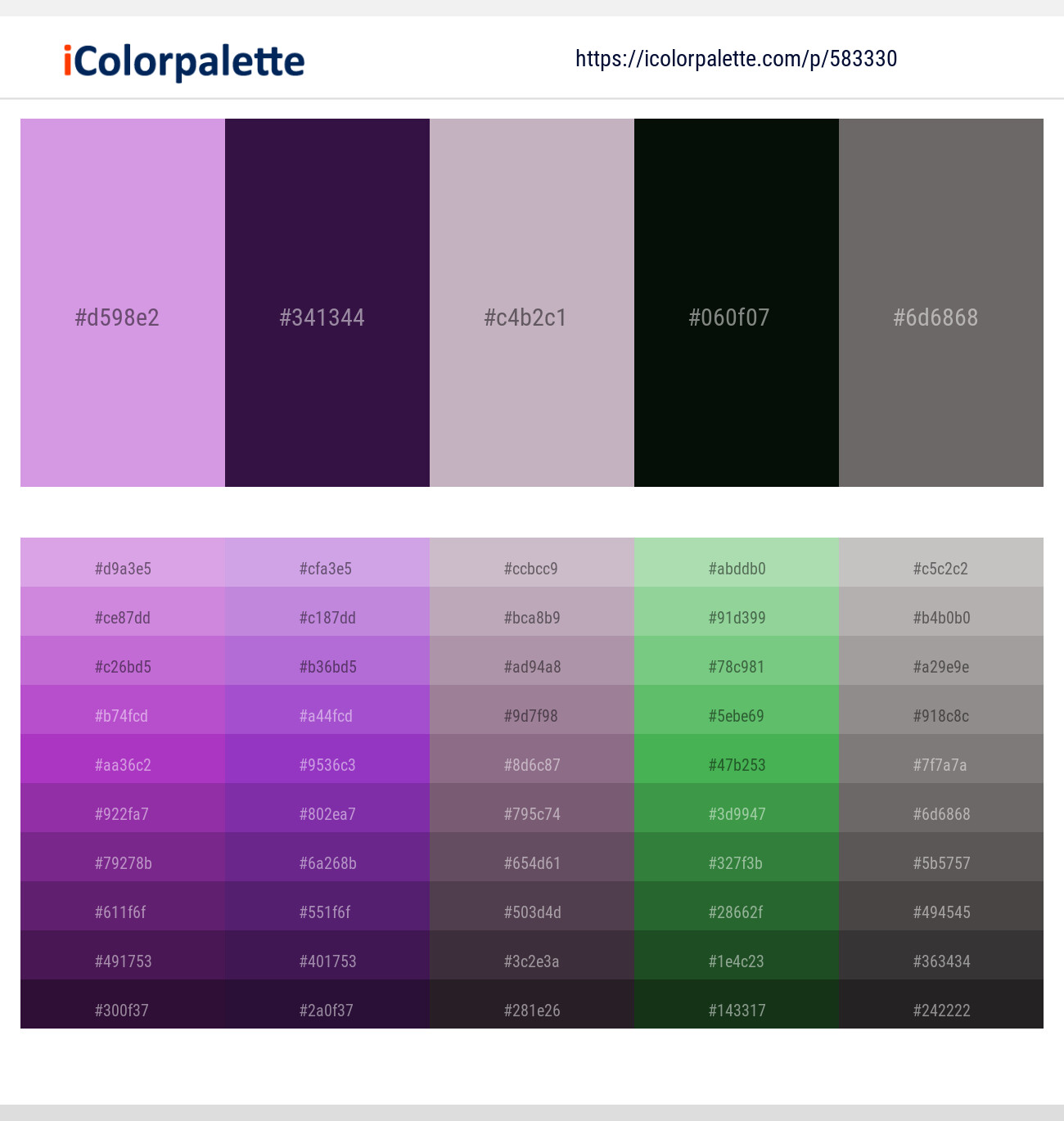 280+ Latest Color Schemes with Grape Color tone combinations | 2024 ...