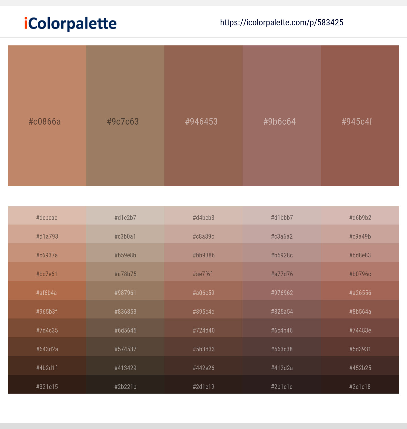 760+ Latest Color Schemes with Toast Color tone combinations | 2024 ...