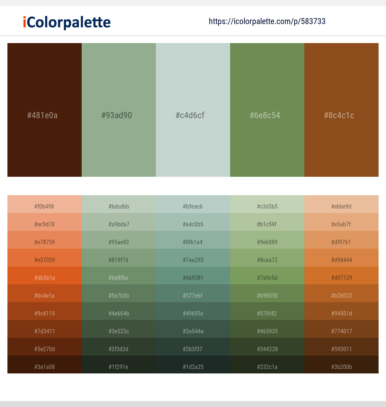 476+ Bronze Color Palettes & Gradient Ideas | iColorPalette