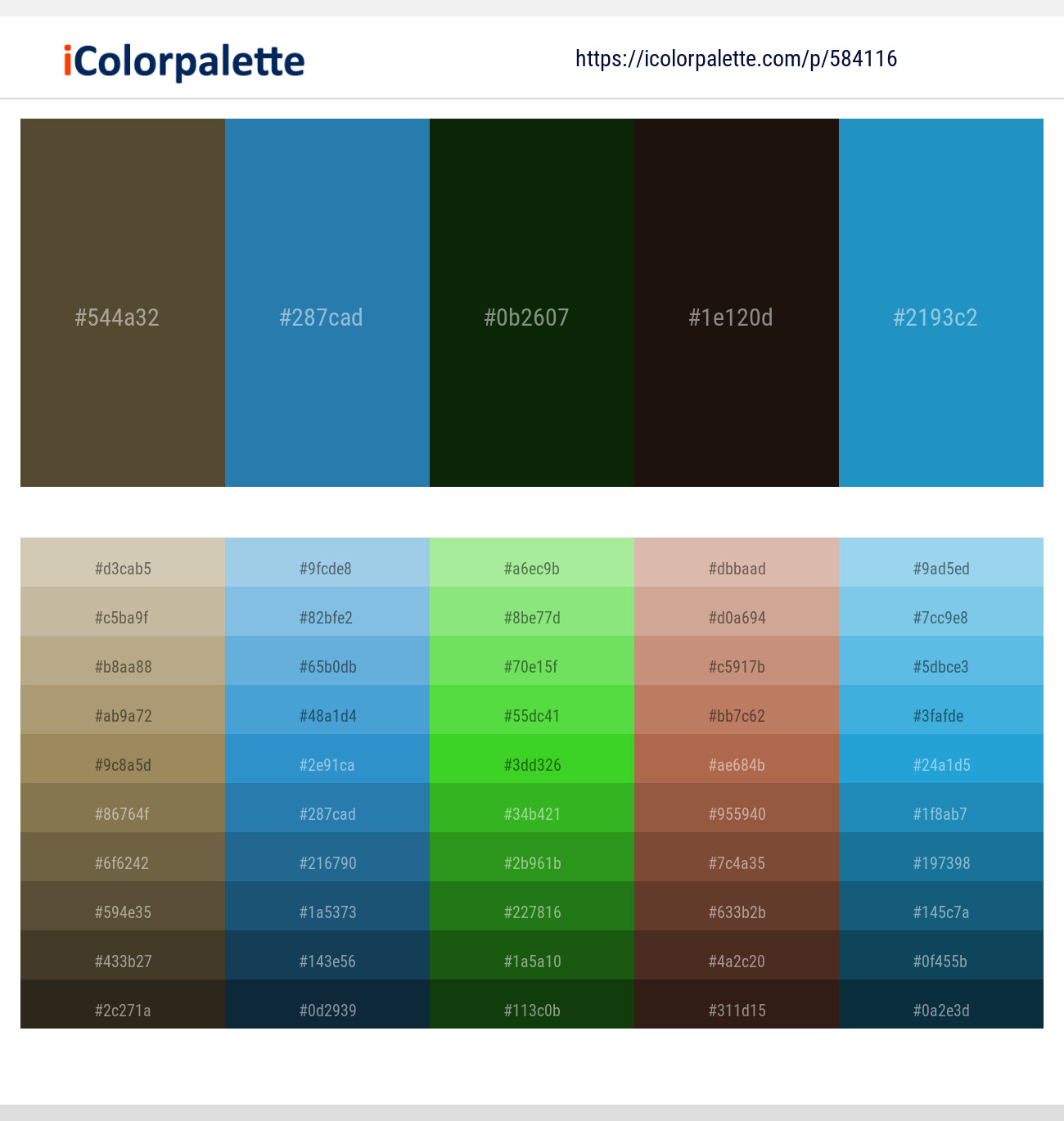 1010+ Latest Color Schemes with Deep Forest Green Color tone ...