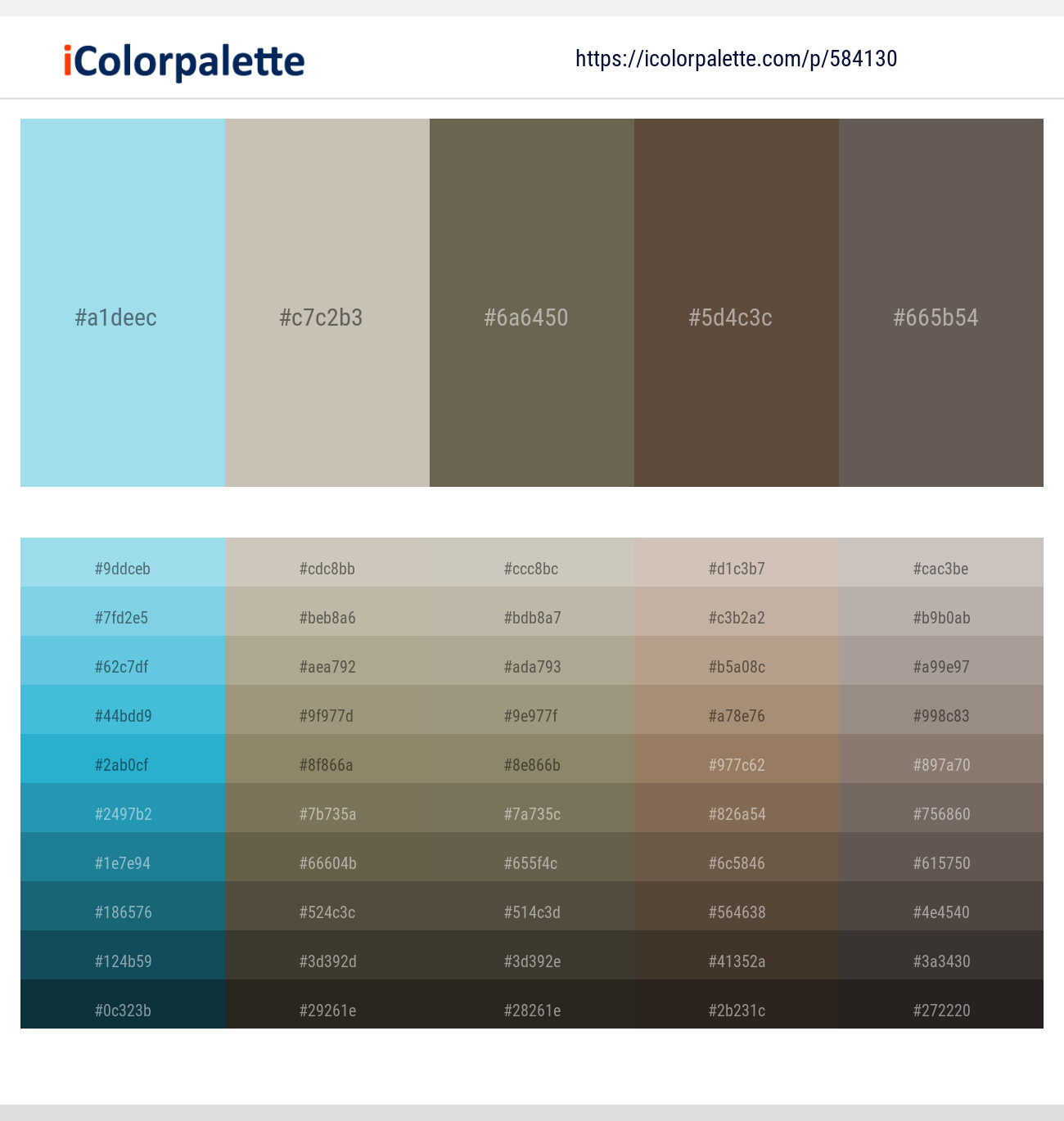 670+ Latest Color Schemes with Ash Color tone combinations | 2025 ...