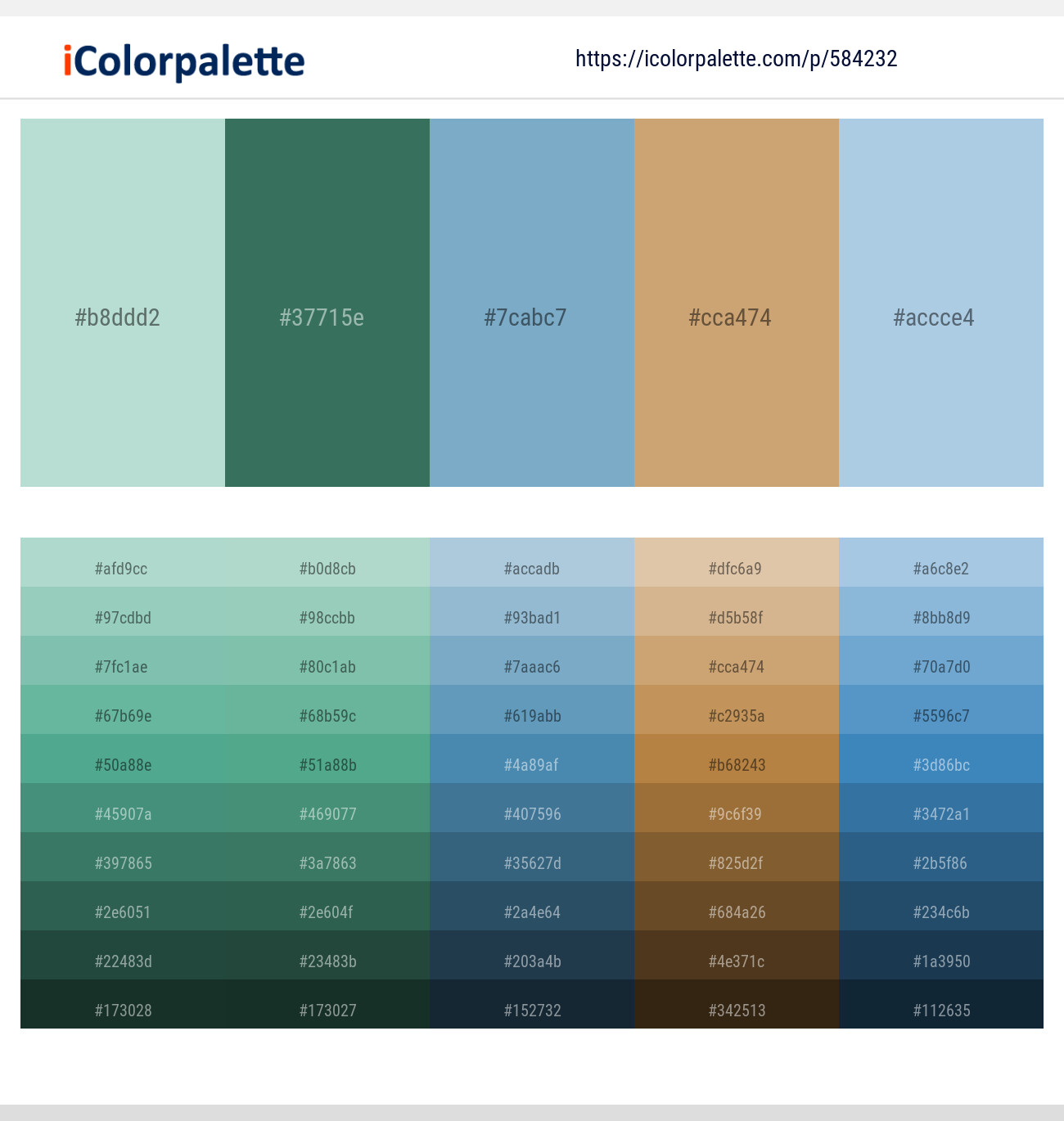 236+ Amazon Color Palettes & Gradient Ideas | iColorPalette