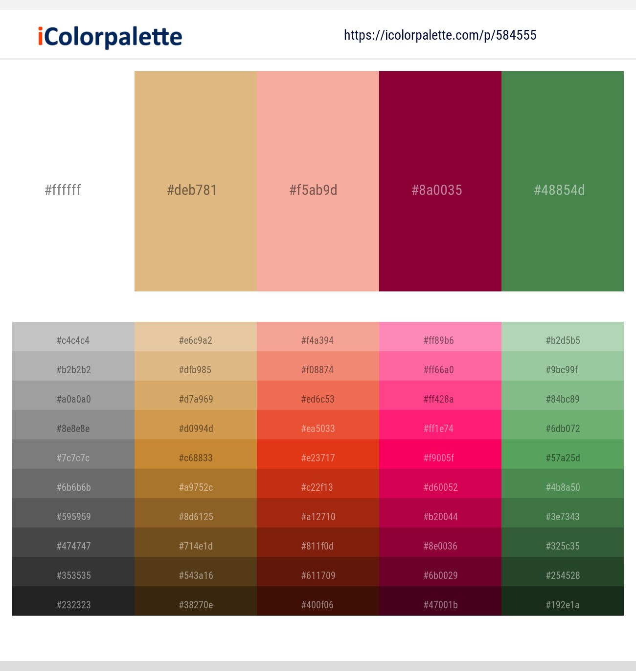 120+ Latest Color Schemes with Paprika Color tone combinations | 2024 ...