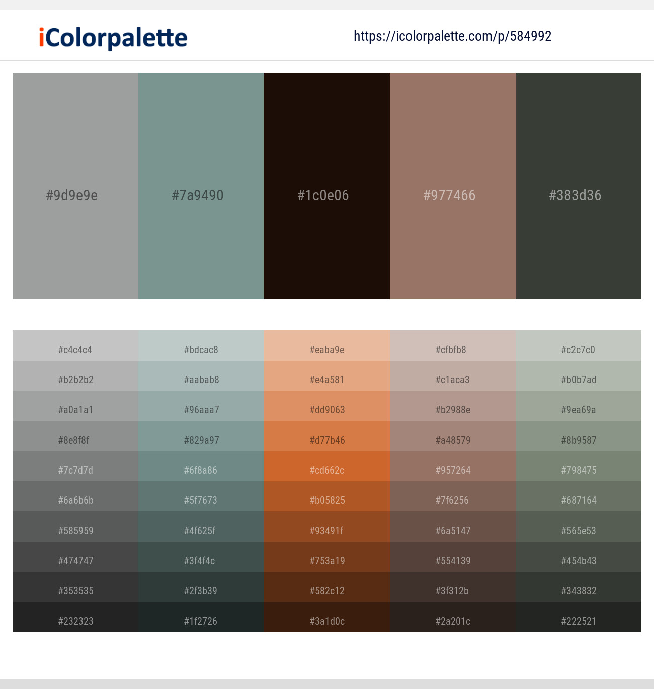 1010+ Latest Color Schemes with Graphite Color tone combinations | 2024 ...