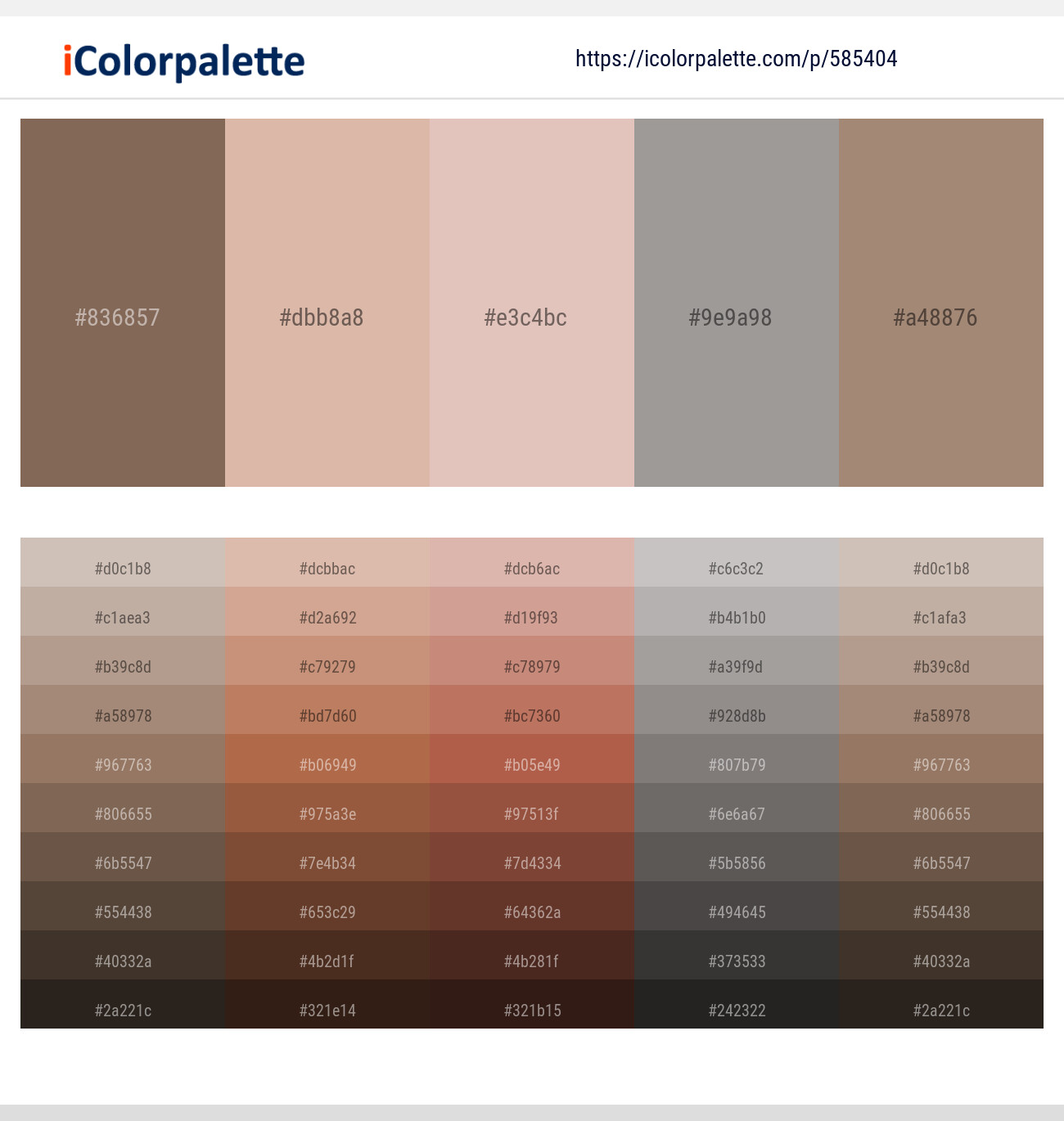 1380+ Latest Color Schemes with Cameo Color tone combinations | 2024 ...