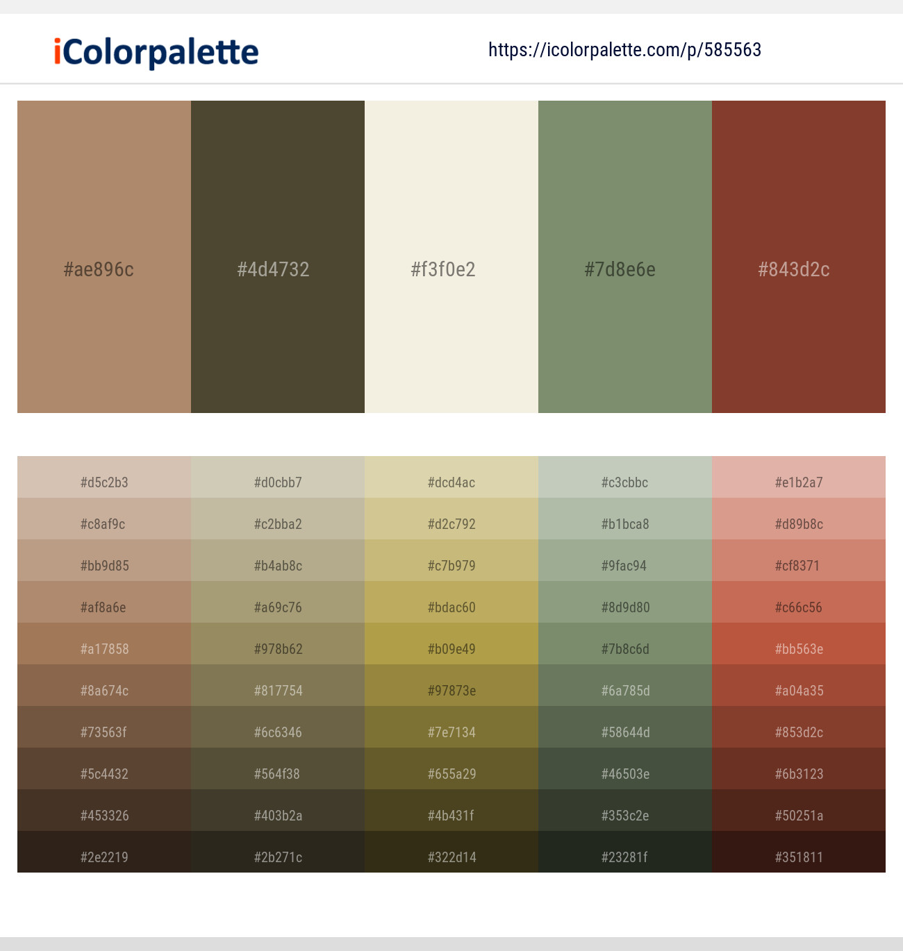 1030+ Latest Color Schemes with Nutmeg Color tone combinations | 2025 ...