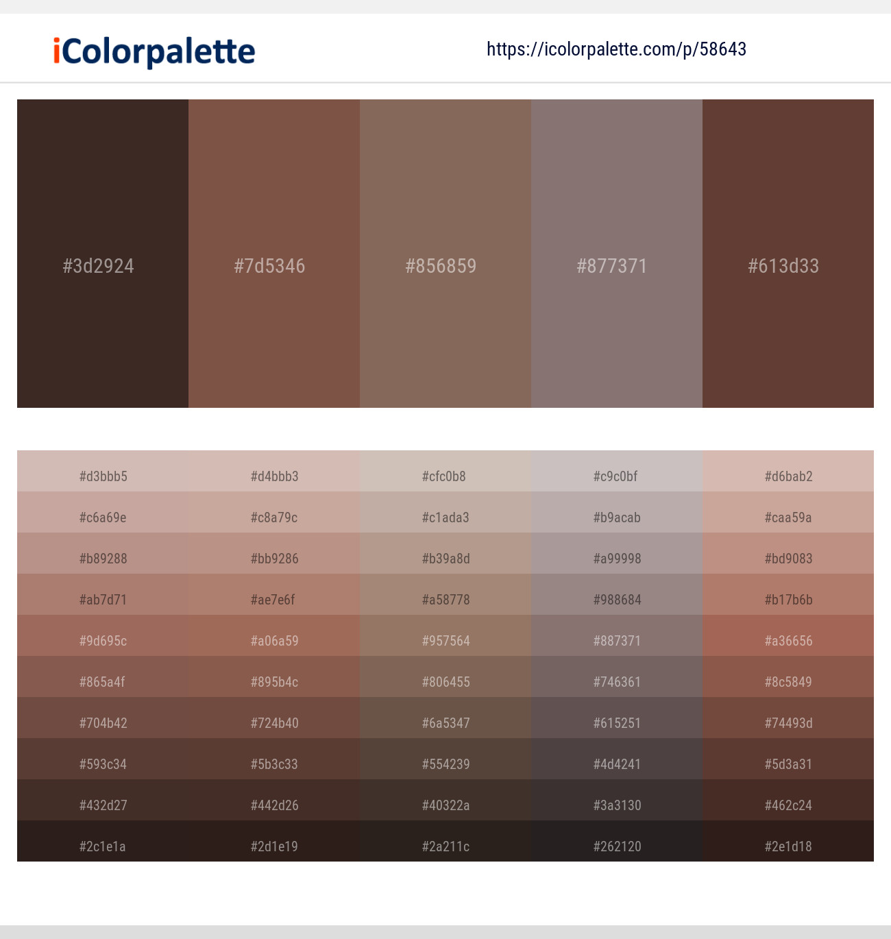 580+ Latest Color Schemes with Americano Color tone combinations | 2023 ...