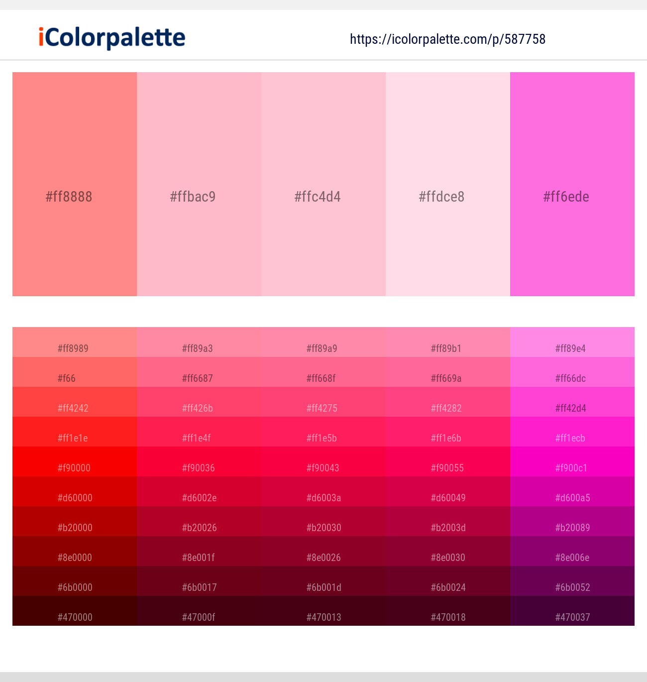 1590+ Latest Color Schemes with Hot Pink Color tone combinations | 2025 ...
