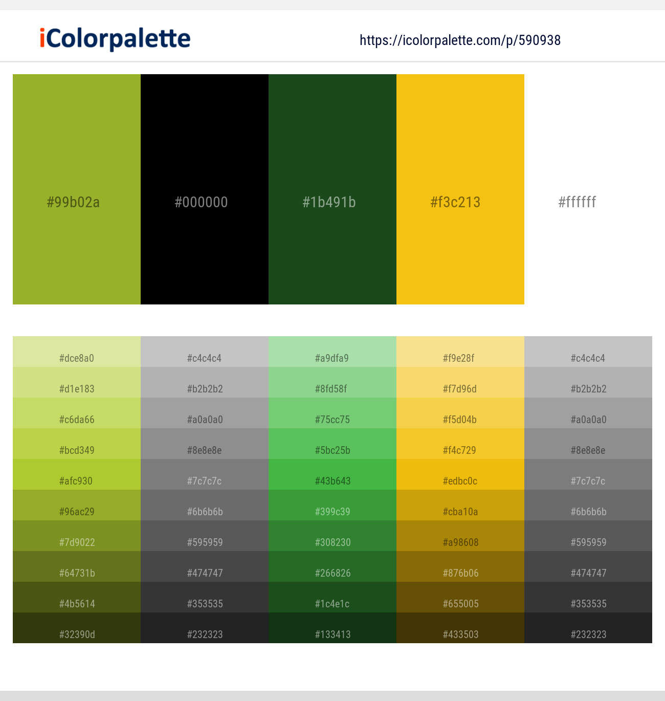 Citron – Black – Parsley – Lightning Yellow – White Color scheme ...