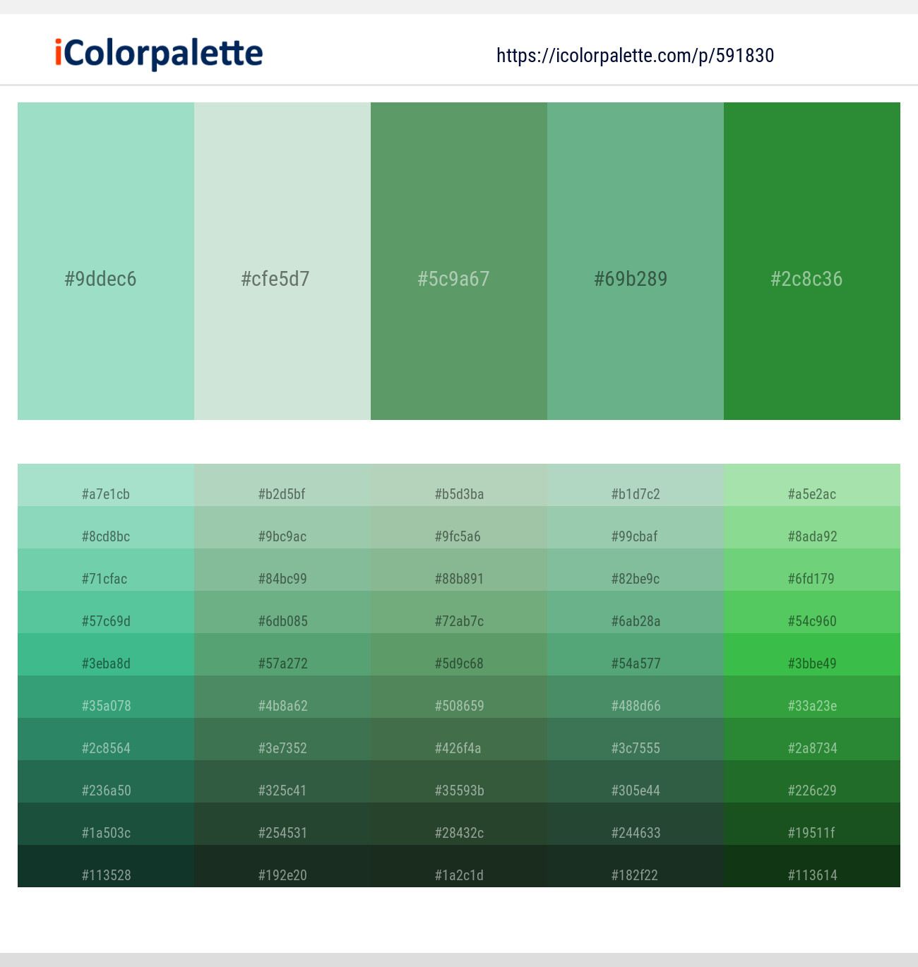 43+ Powder Blue And Forest Green Color Palettes & Gradient Ideas ...