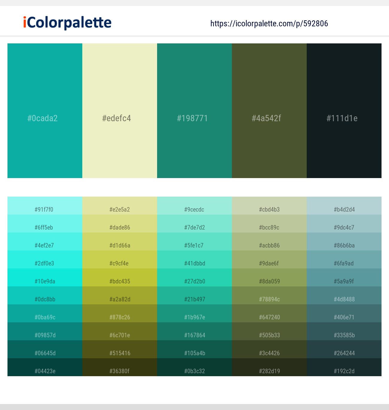 960+ Latest Color Schemes with Aztec Color tone combinations | 2025 ...