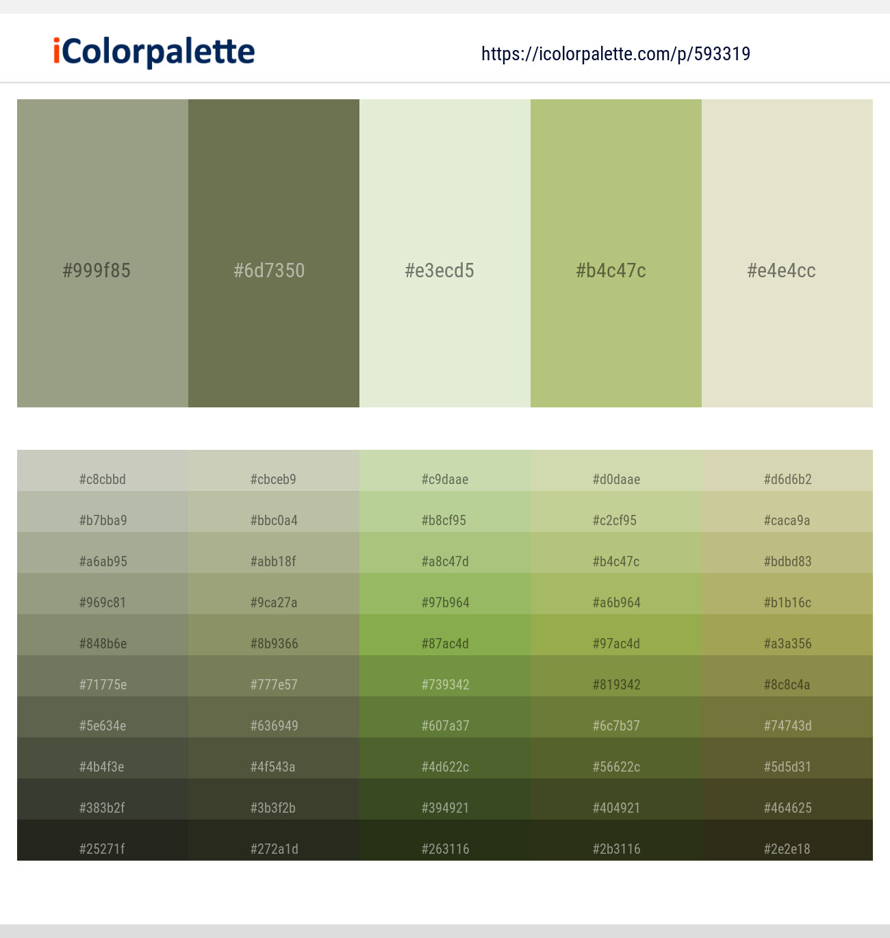 1483+ Sage Color Palettes & Gradient Ideas | iColorPalette