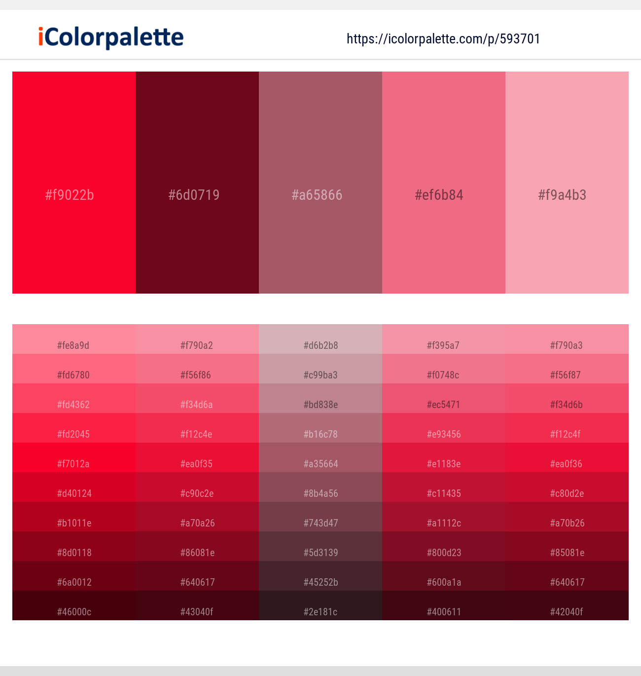 Light Maroon Color Arsenic & Maroon Color Scheme Palettes