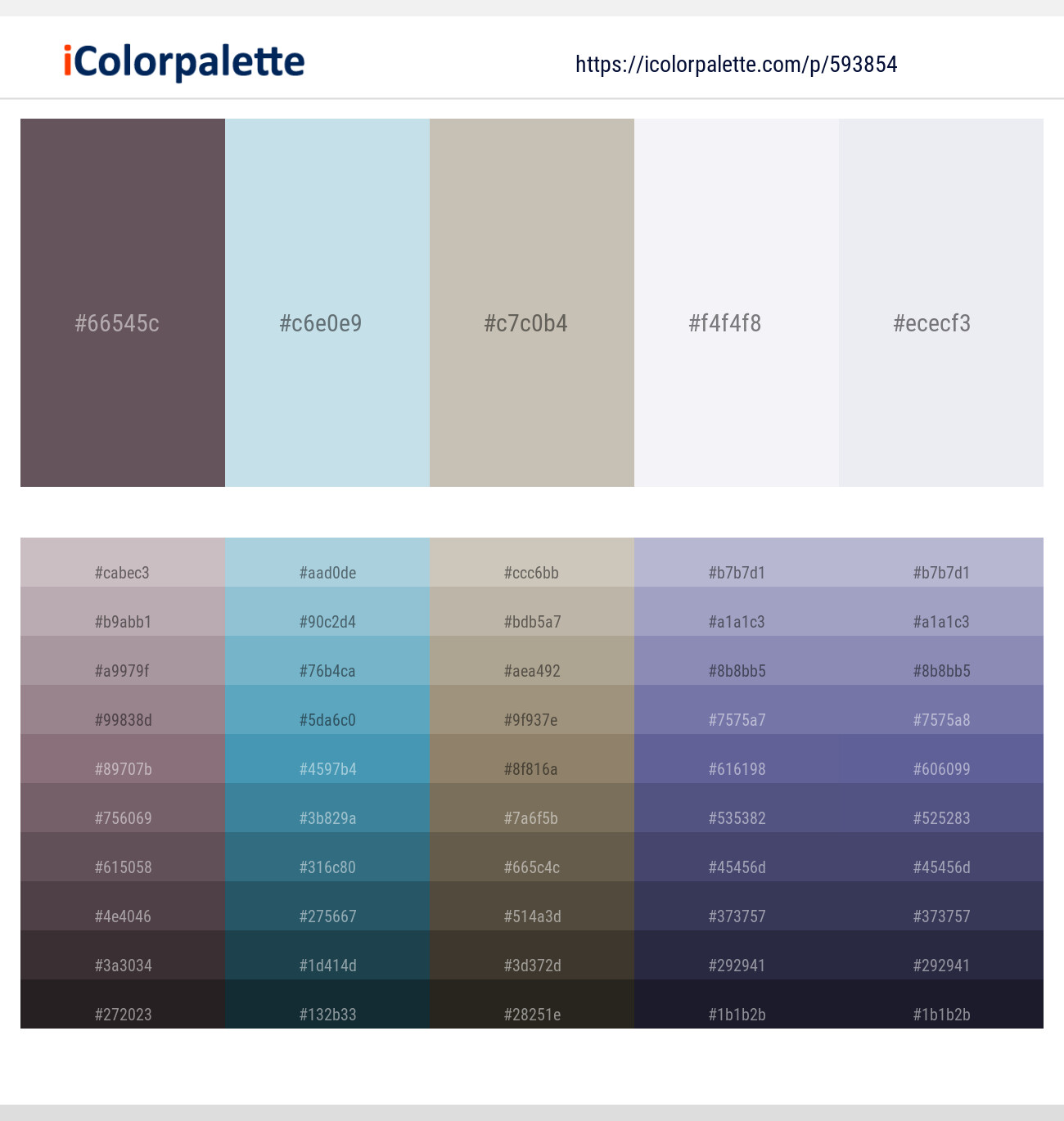 670+ Latest Color Schemes with Ash Color tone combinations | 2025 ...