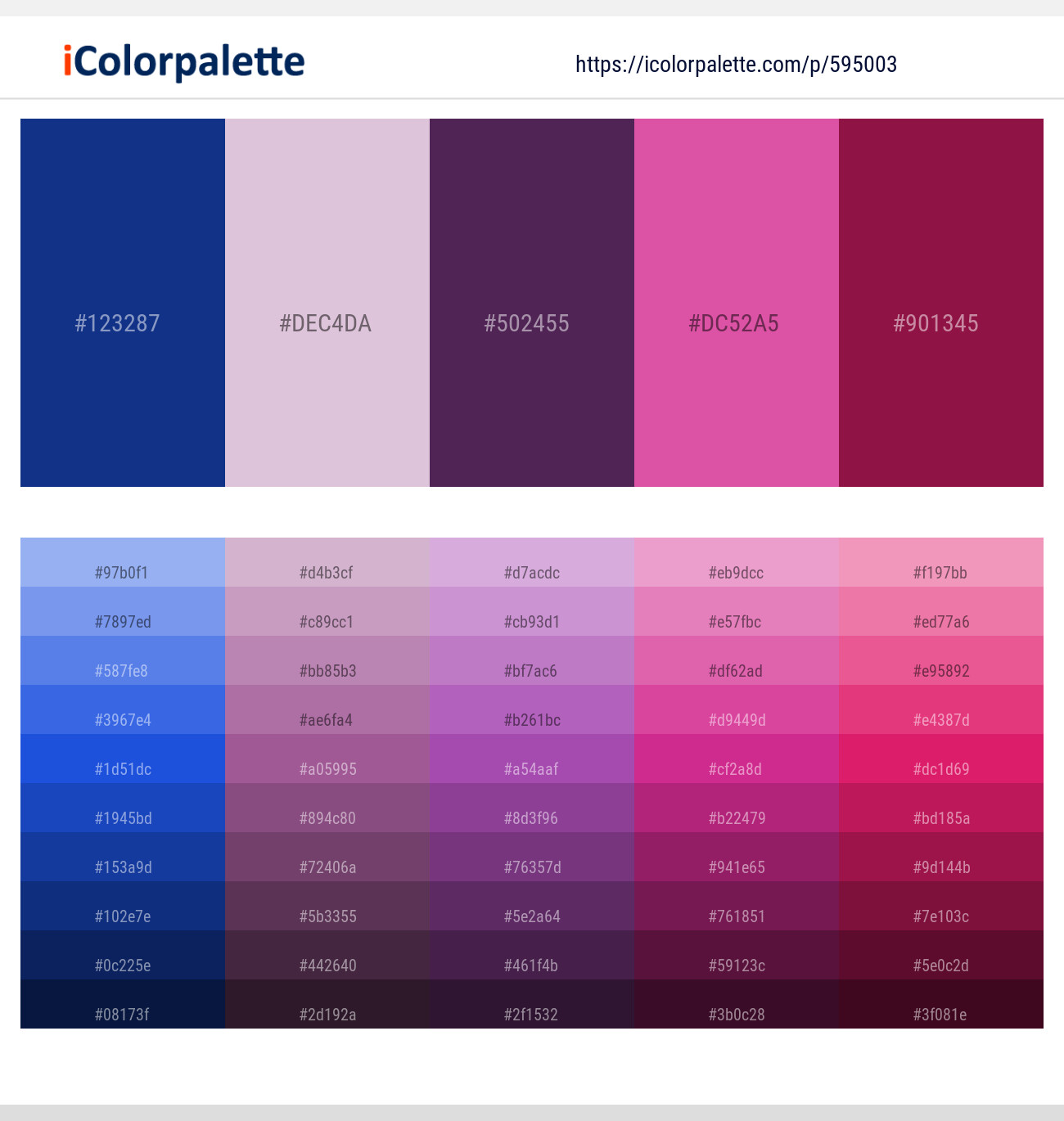 791+ Disco Color Palettes & Gradient Ideas | iColorPalette