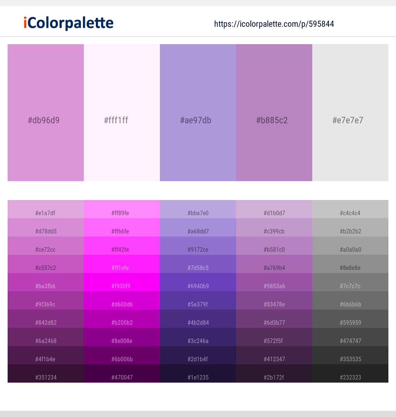 Light Orchid – White Pointer – Cold Purple – Lilac – Mercury Color ...
