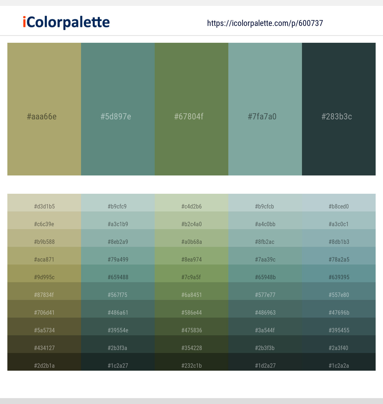 690+ Patina Color Palettes & Gradient Ideas | iColorPalette
