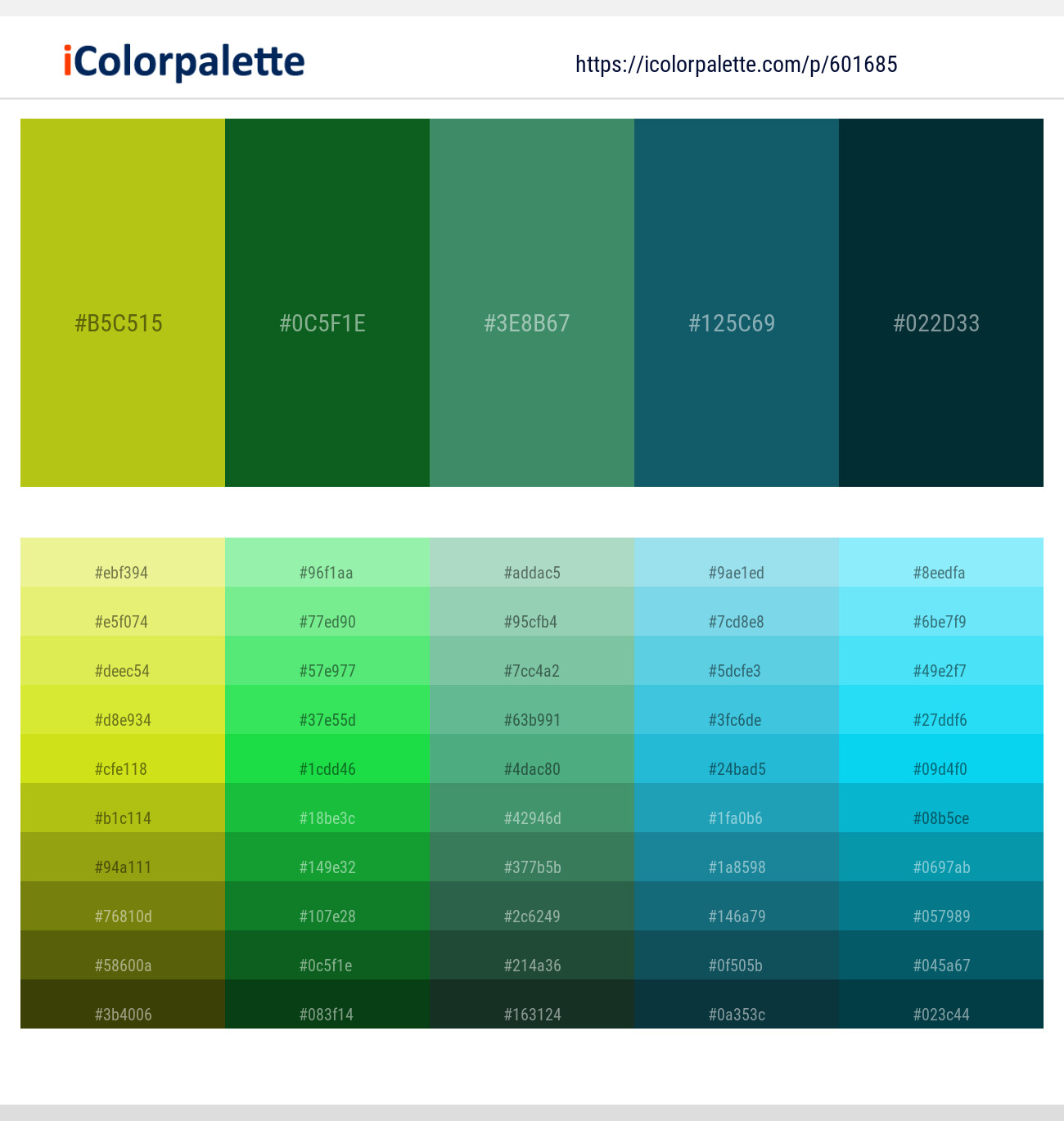 6848+ Dark Green Color Palettes & Gradient Ideas | iColorPalette