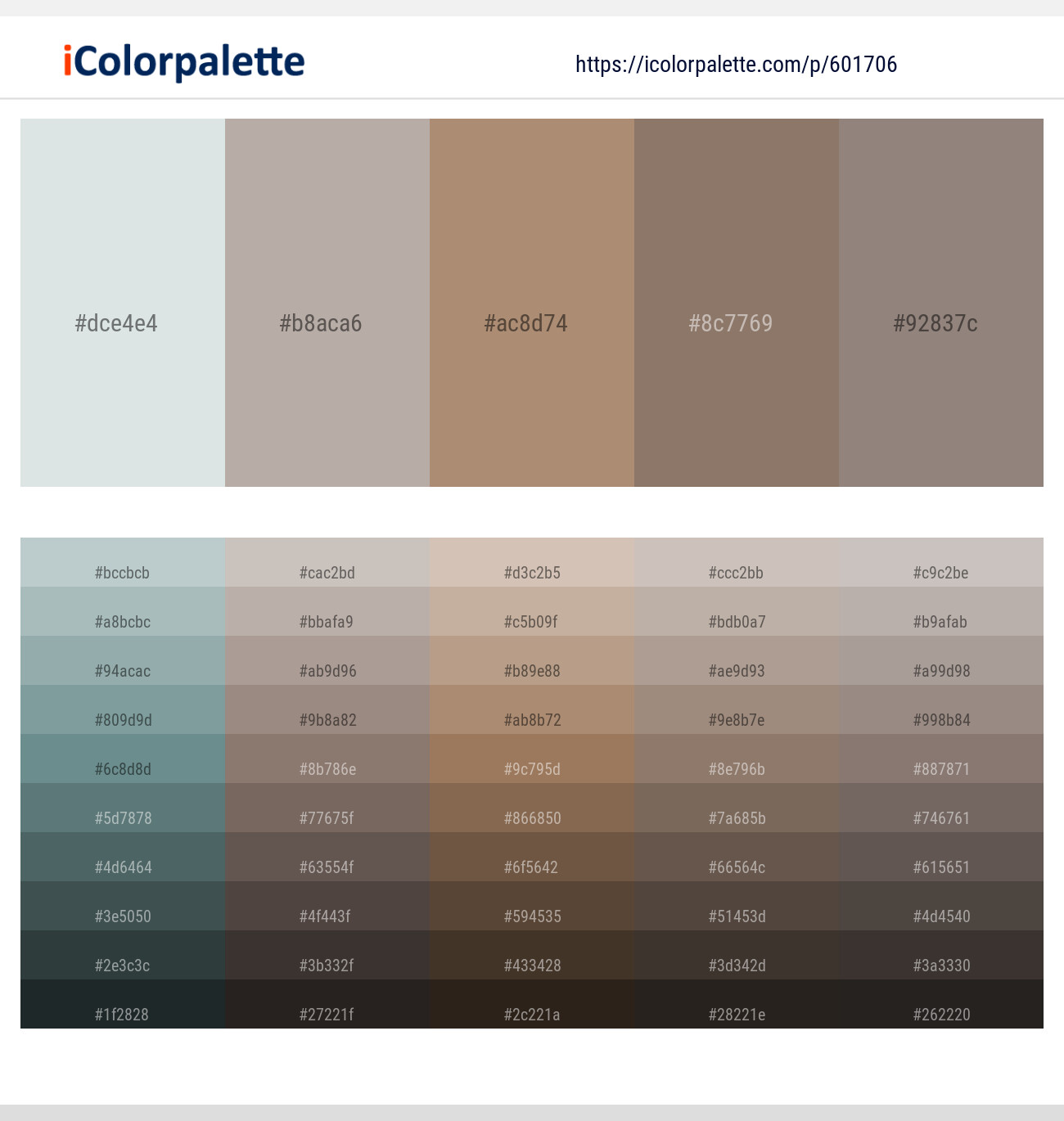 2575+ Sandal Color Palettes & Gradient Ideas | iColorPalette