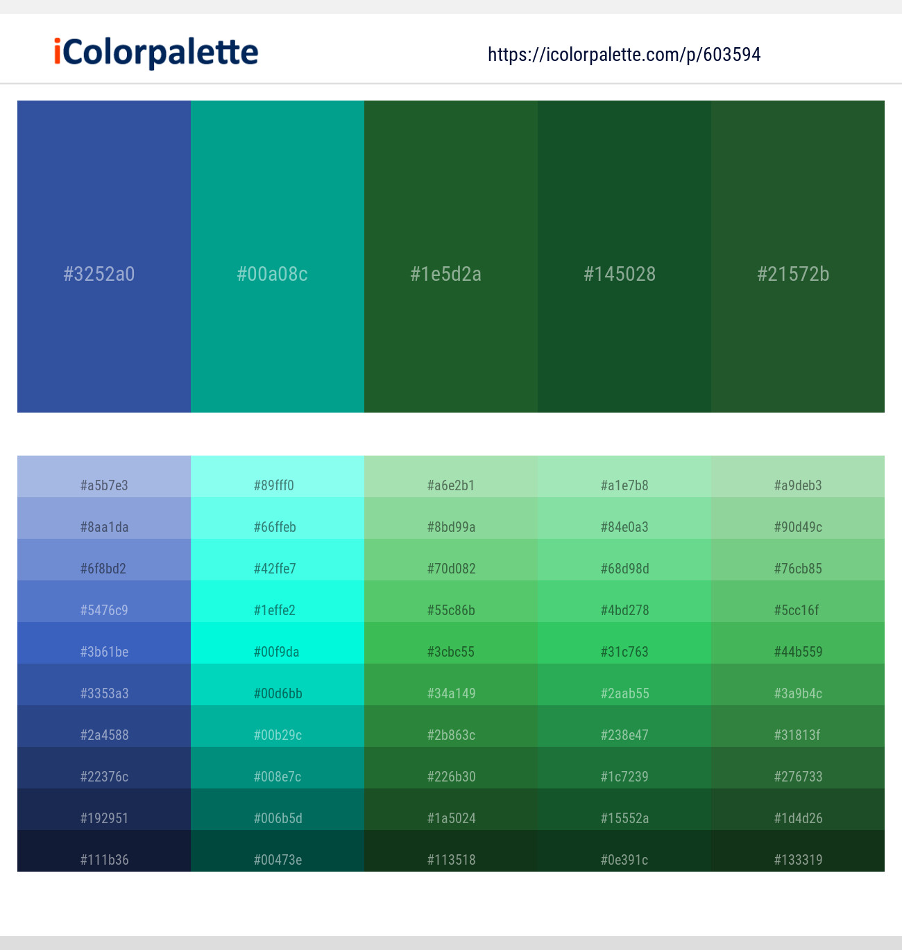 34735+ Turquoise Color Palettes & Gradient Ideas | iColorPalette