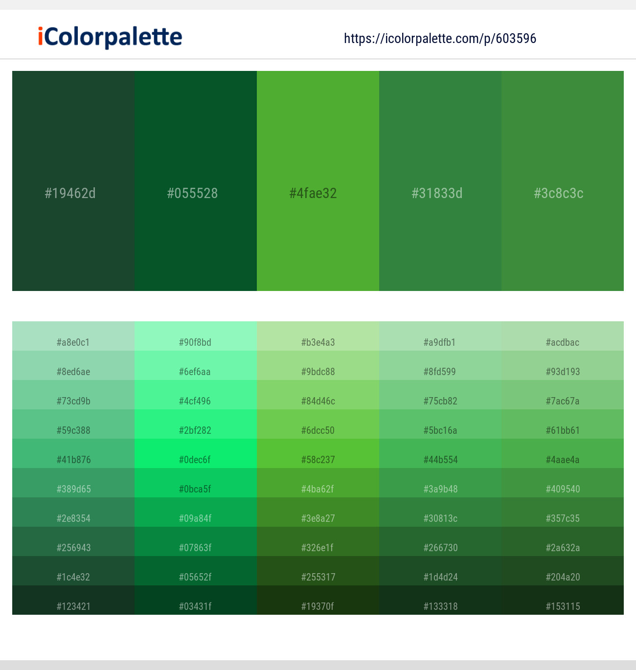 1160+ Apple Color Palettes & Gradient Ideas | iColorPalette