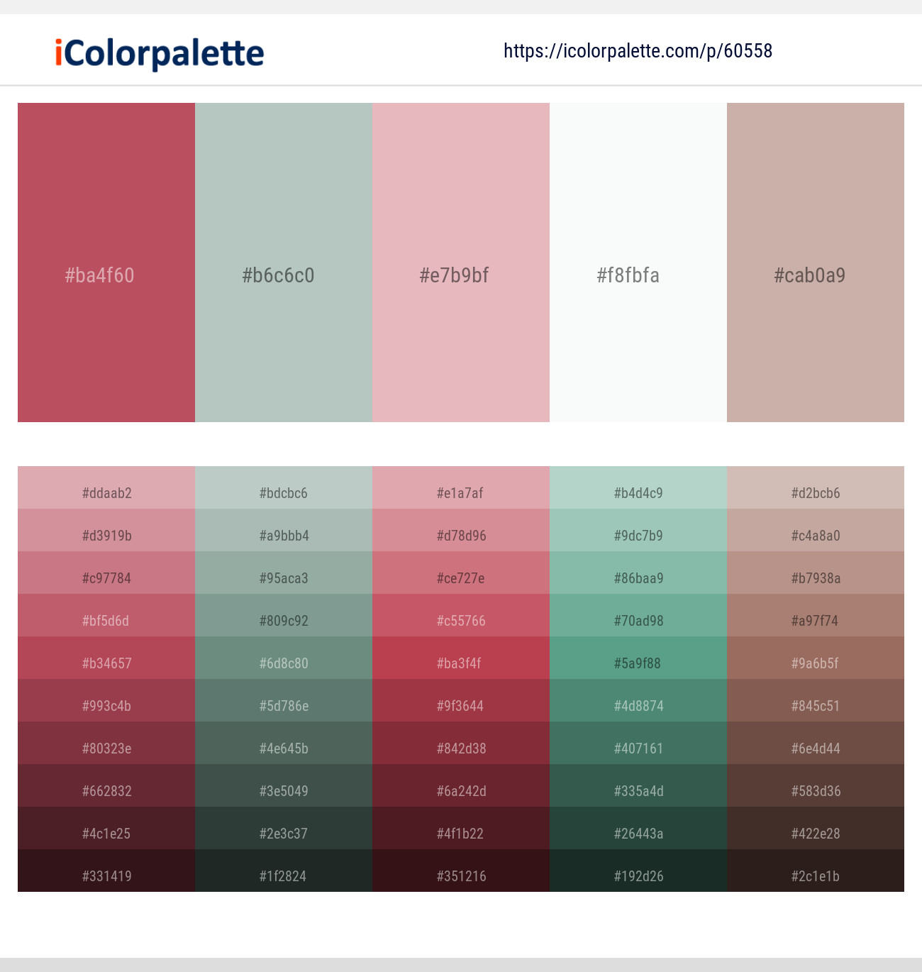 1 Latest Color Schemes with Powder Ash And Rose Fog Color tone ...