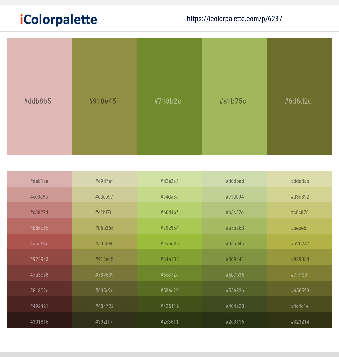 1 Latest Color Schemes with Blossom And Olive Green Color tone ...
