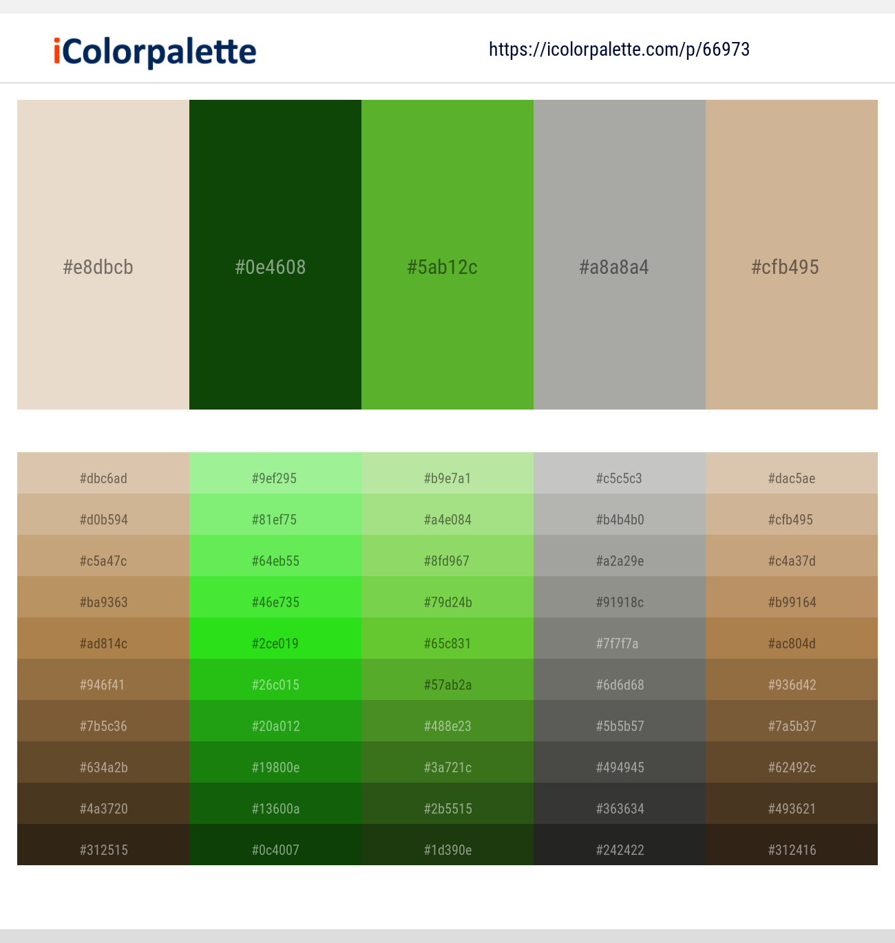 2+ Bone And Delta Color Palettes & Gradient Ideas | iColorPalette