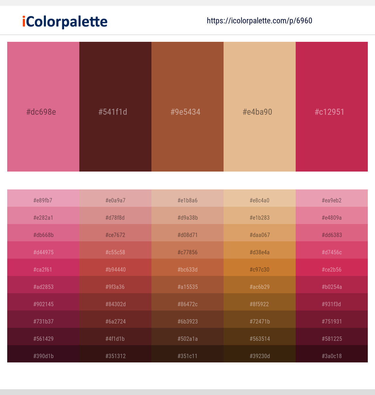 1 Latest Color Schemes with Deep Blush And Mule Fawn Color tone ...