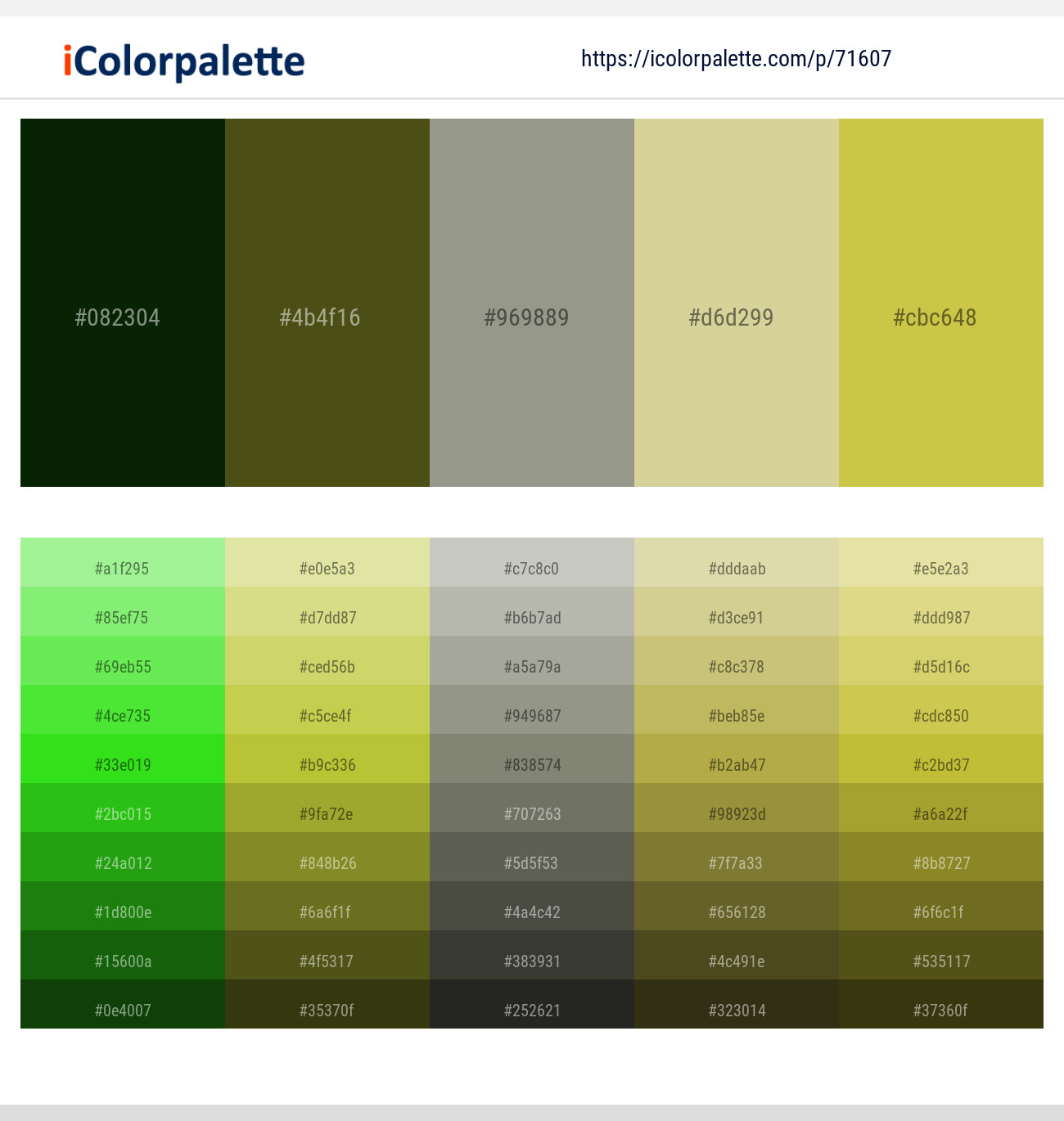 2 Latest Color Schemes with Pine Tree And Winter Hazel Color tone ...