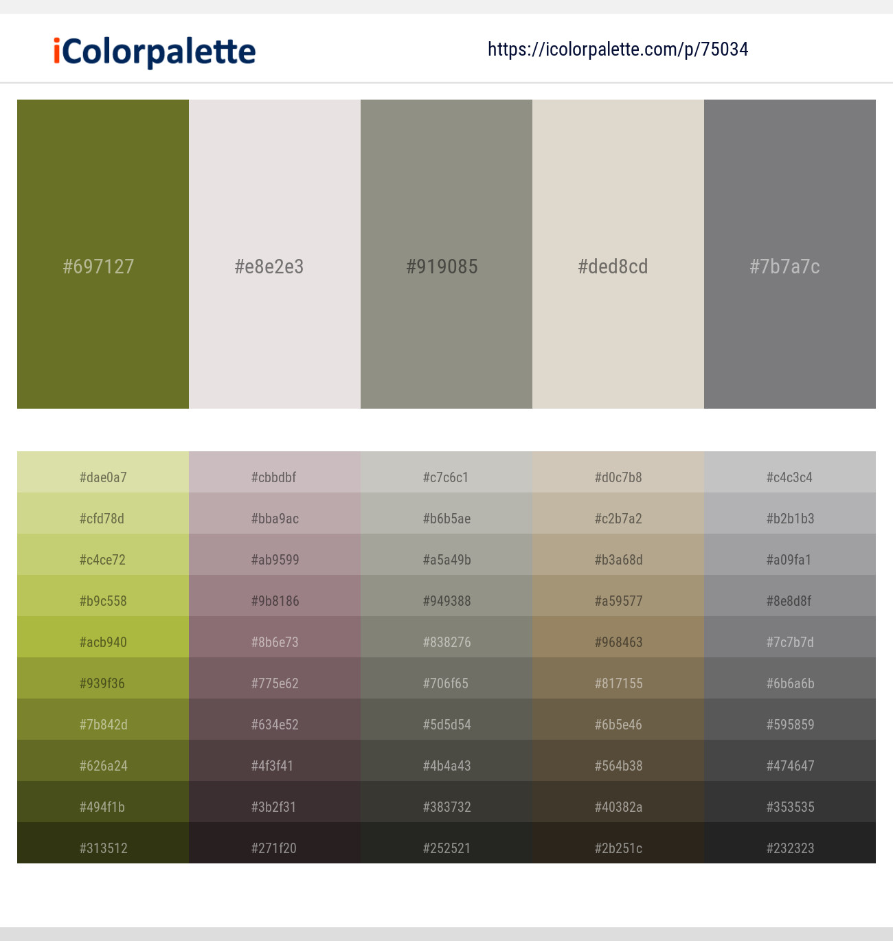 3 Latest Color Schemes with Natural Gray And Moon Mist Color tone ...