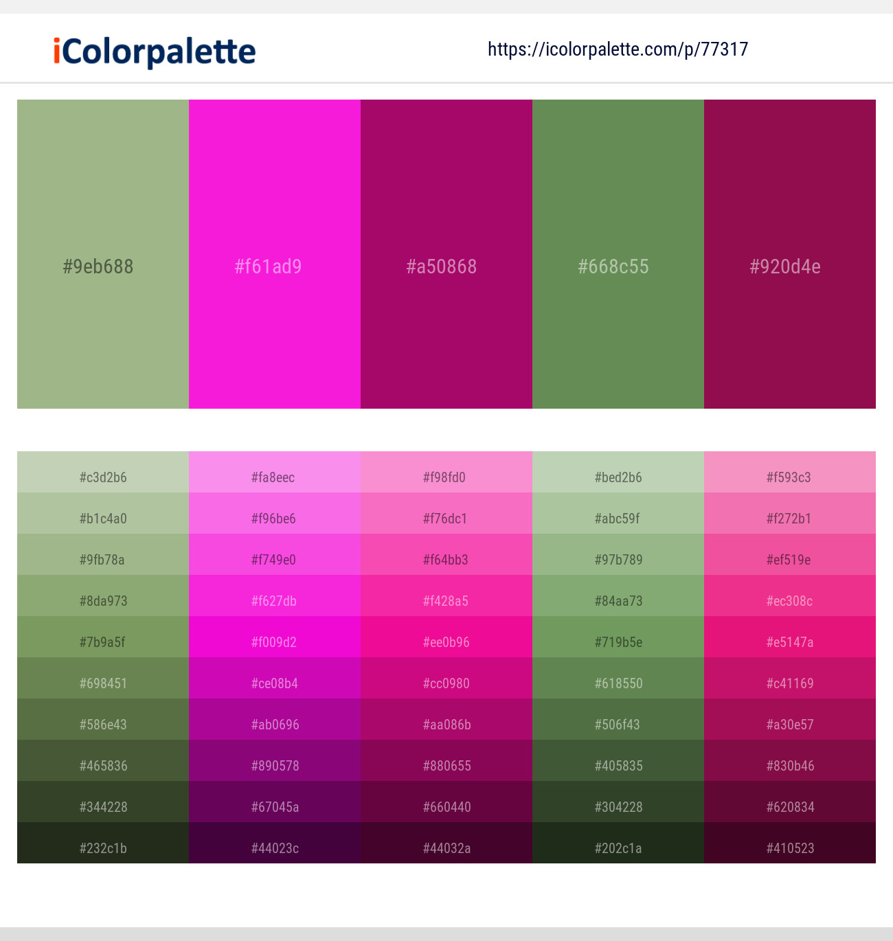 Dark Fuchsia Color Dark Pink 2 Color Palette