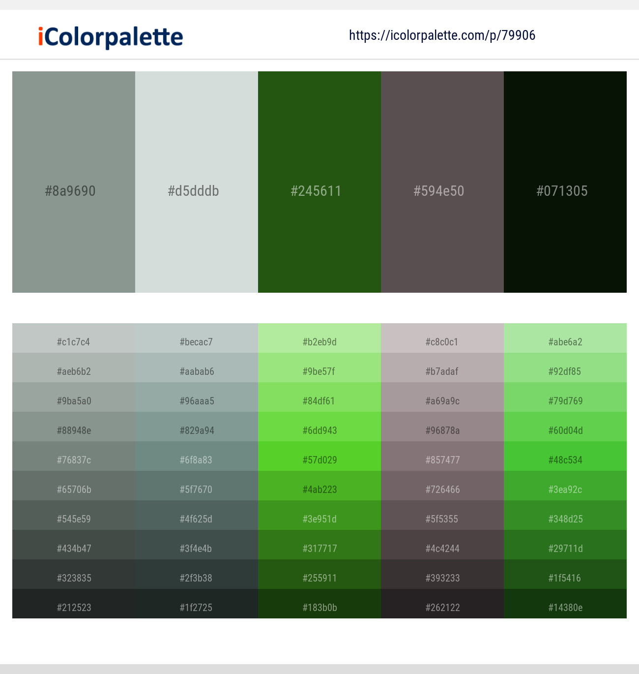 320+ Latest Color Schemes with Nebula Color tone combinations | 2024 ...