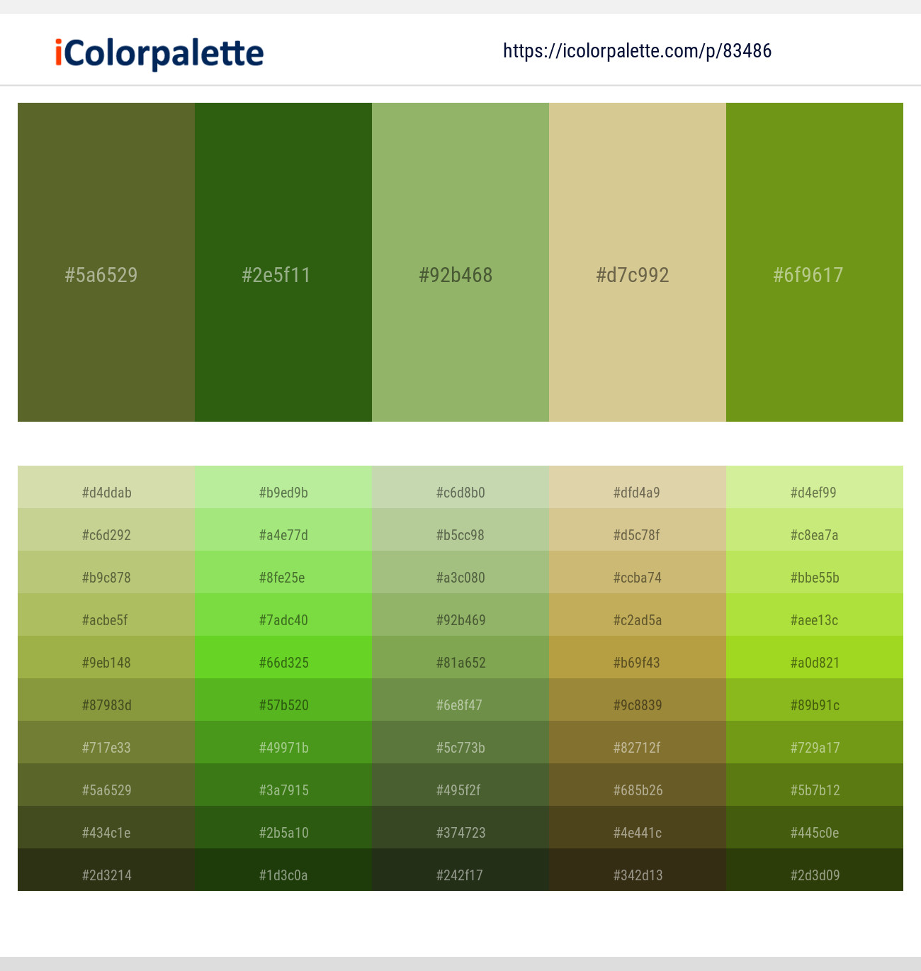 4 Latest Color Schemes with Olivine And Trendy Green Color tone ...