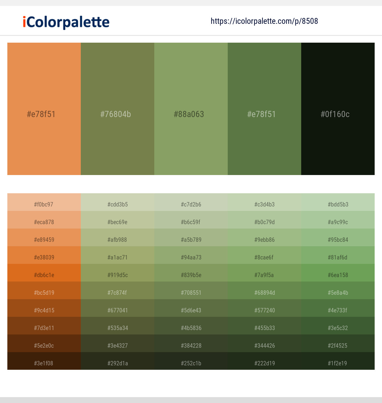 7 Latest Color Schemes with Asparagus And Marshland Color tone ...