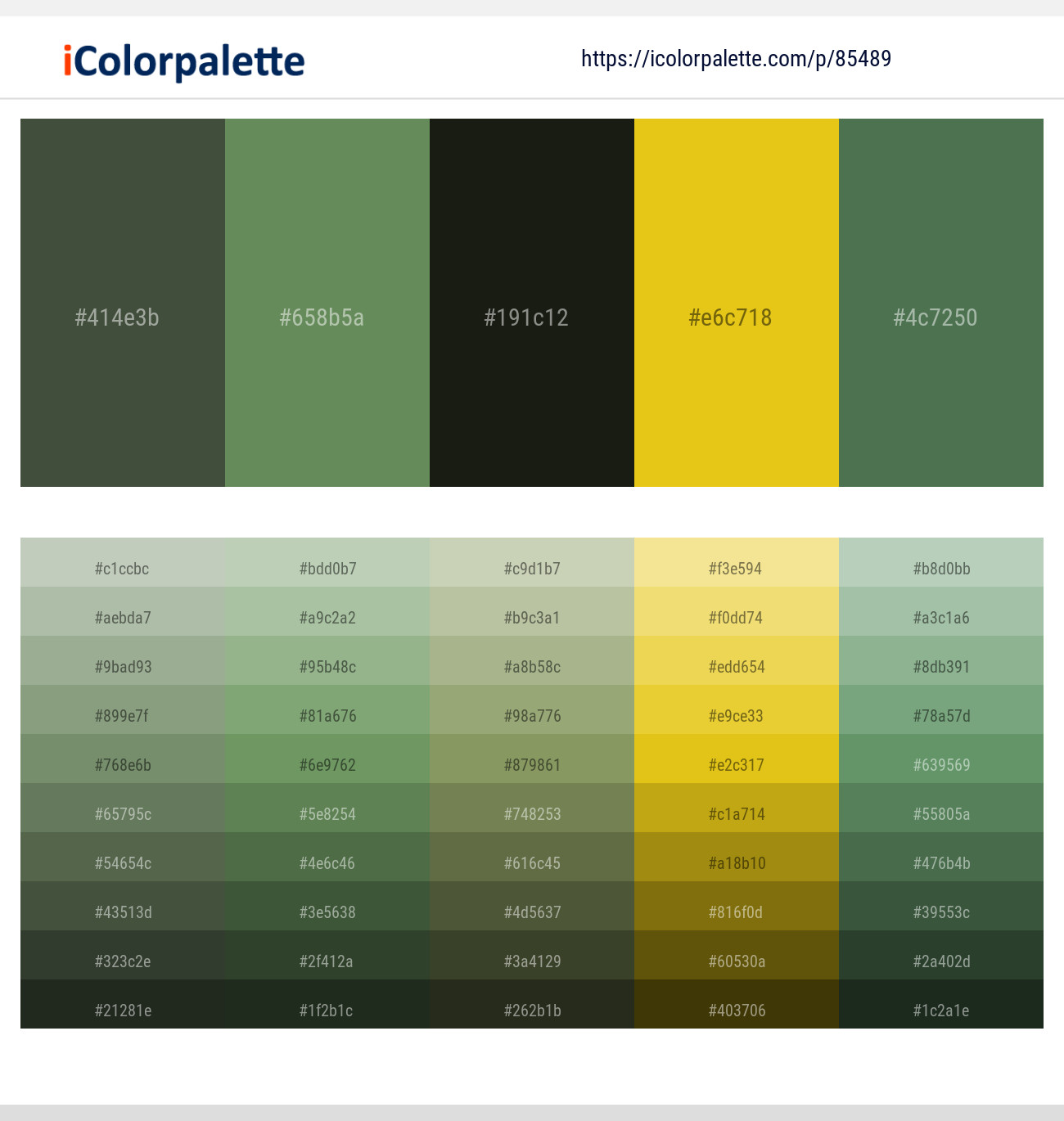 1 Latest Color Schemes with Rangoon Green And Barberry Color tone ...