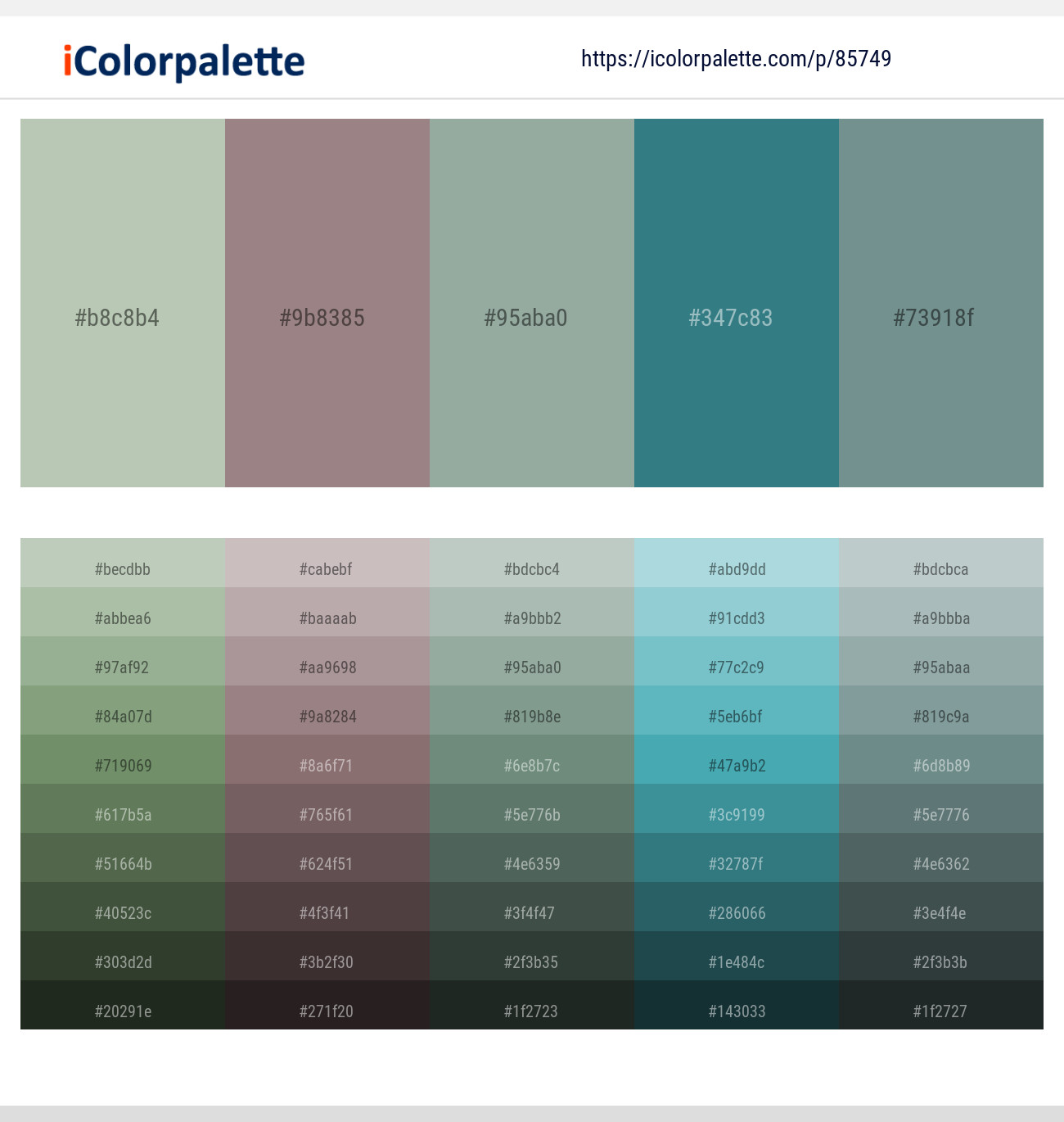 1 Latest Color Schemes with Clay Ash And Bazaar Color tone combinations ...