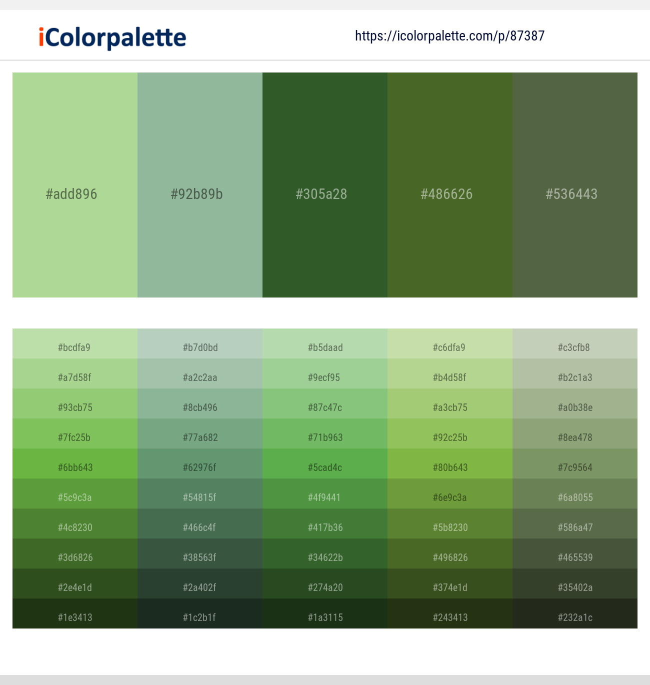 2+ Summer Green And Axolotl Color Palettes & Gradient Ideas | iColorPalette