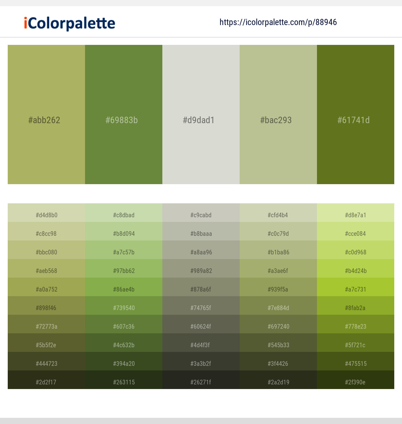 194241 Color Palettes | iColorpalette
