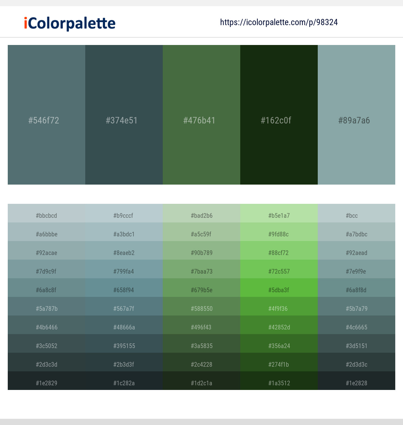 1 Latest Color Schemes with Chalet Green And Cascade Color tone ...